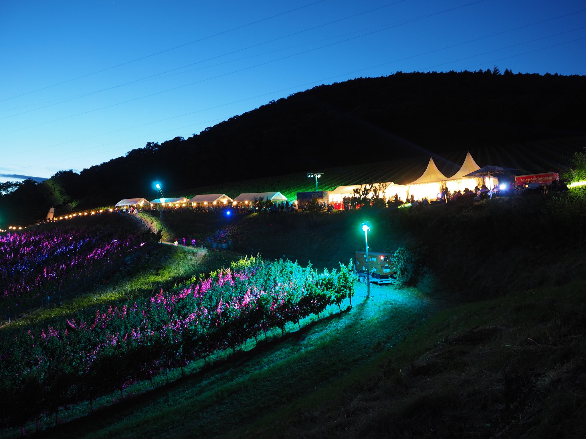 Ein idyllischer Festplatz inmitten von Reben: Feiern in den Weinbergen ...