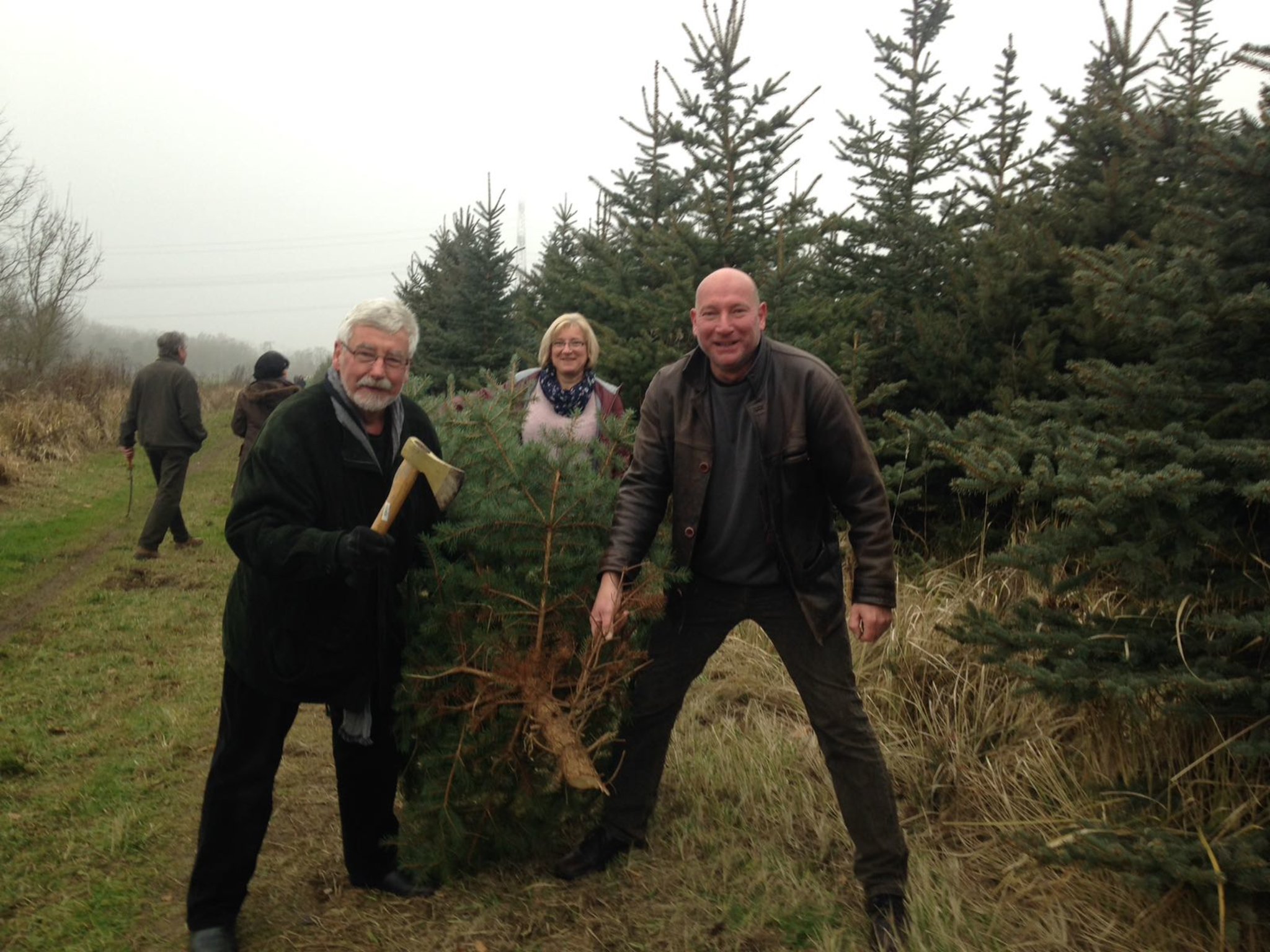 Aktion „Weihnachtsbäume zum Selberschlagen“ fällt aus: Weihnachtsbäume ...