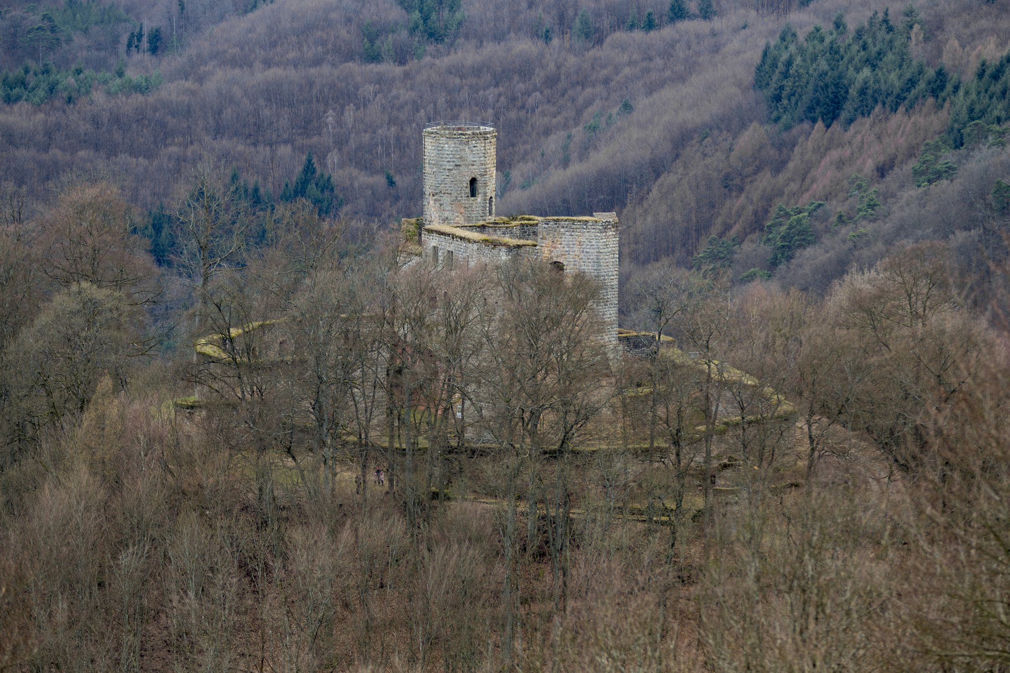 Wanderung bei Merzalben: Zur Burgruine Gräfenstein - Kaiserslautern
