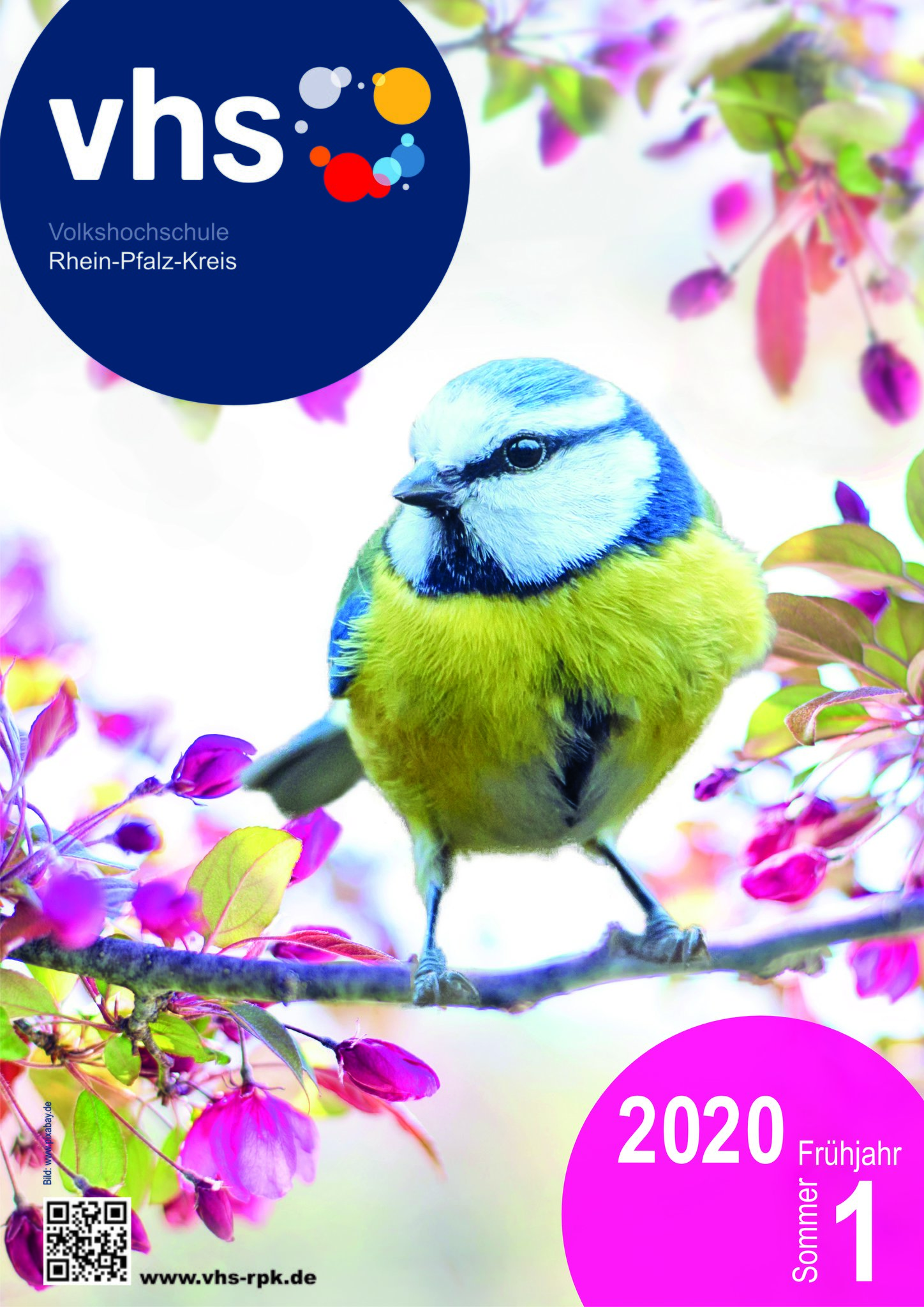 Neues vhs-Programmheft ab sofort erhältlich: Im nächsten Halbjahr über 1.150 vhs-Veranstaltungen ...