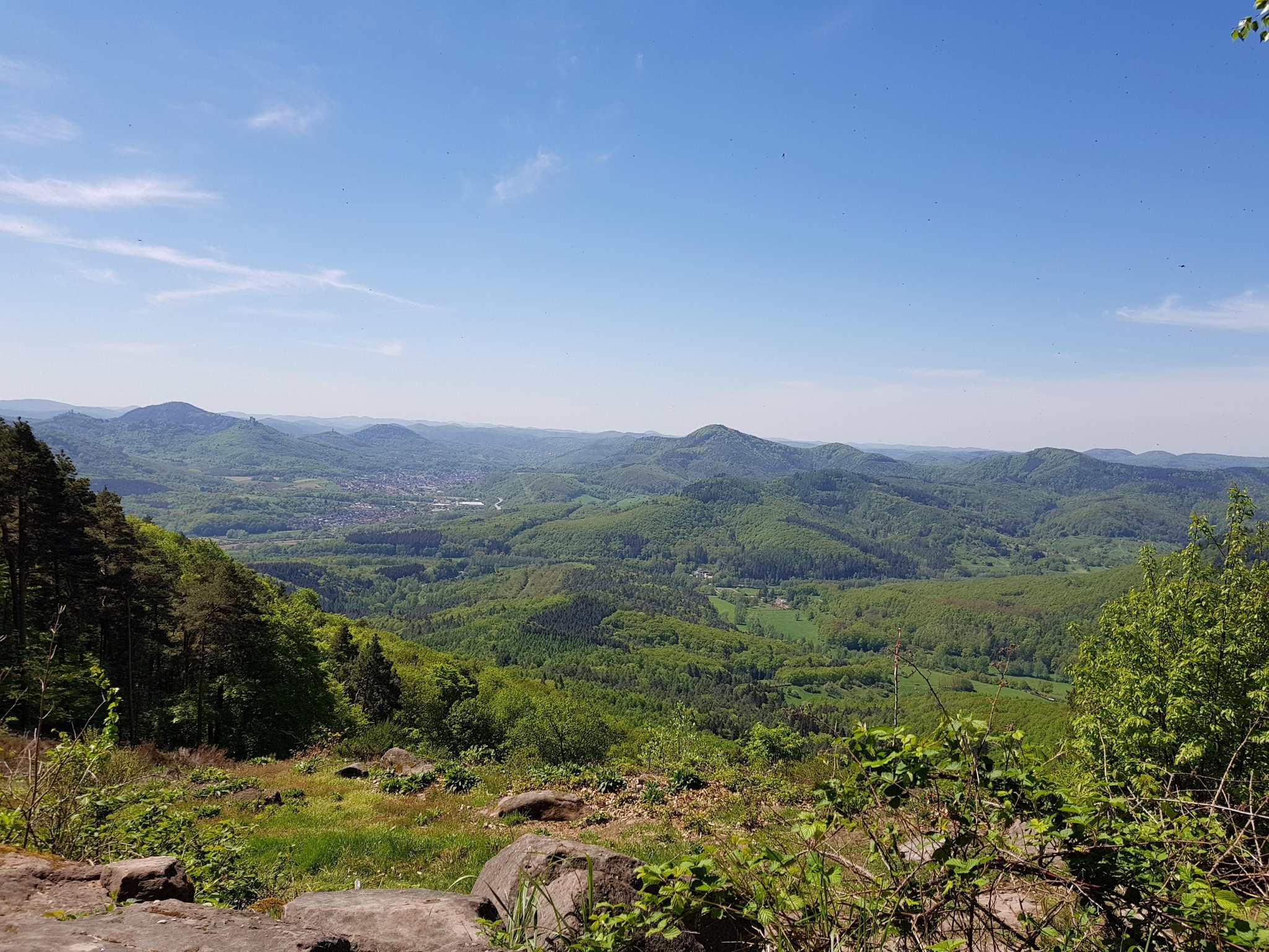 Pfälzer Hüttentour als Rundwanderweg: Mehr als nur eine Wandertour ...