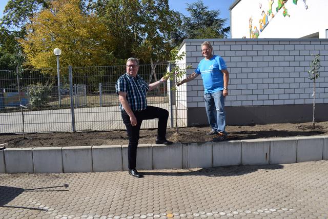 Neues aus der Gemeinde Mutterstadt: Freiwilligentag 2020 – Gemeinsam ...