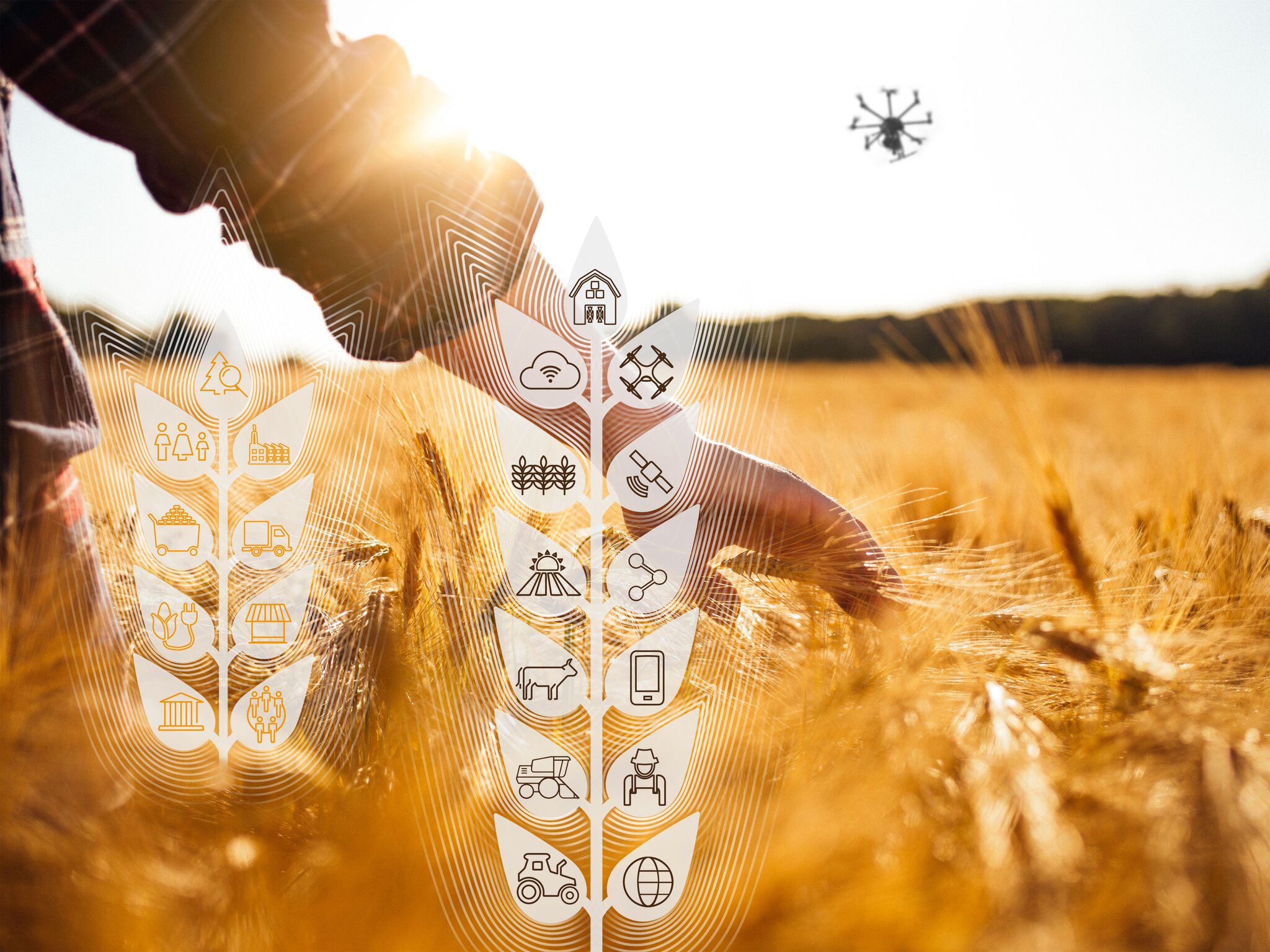 Neuer Professor befasst sich an der TU Kaiserslautern mit „Digital Farming“: Auf dem Weg zur ...