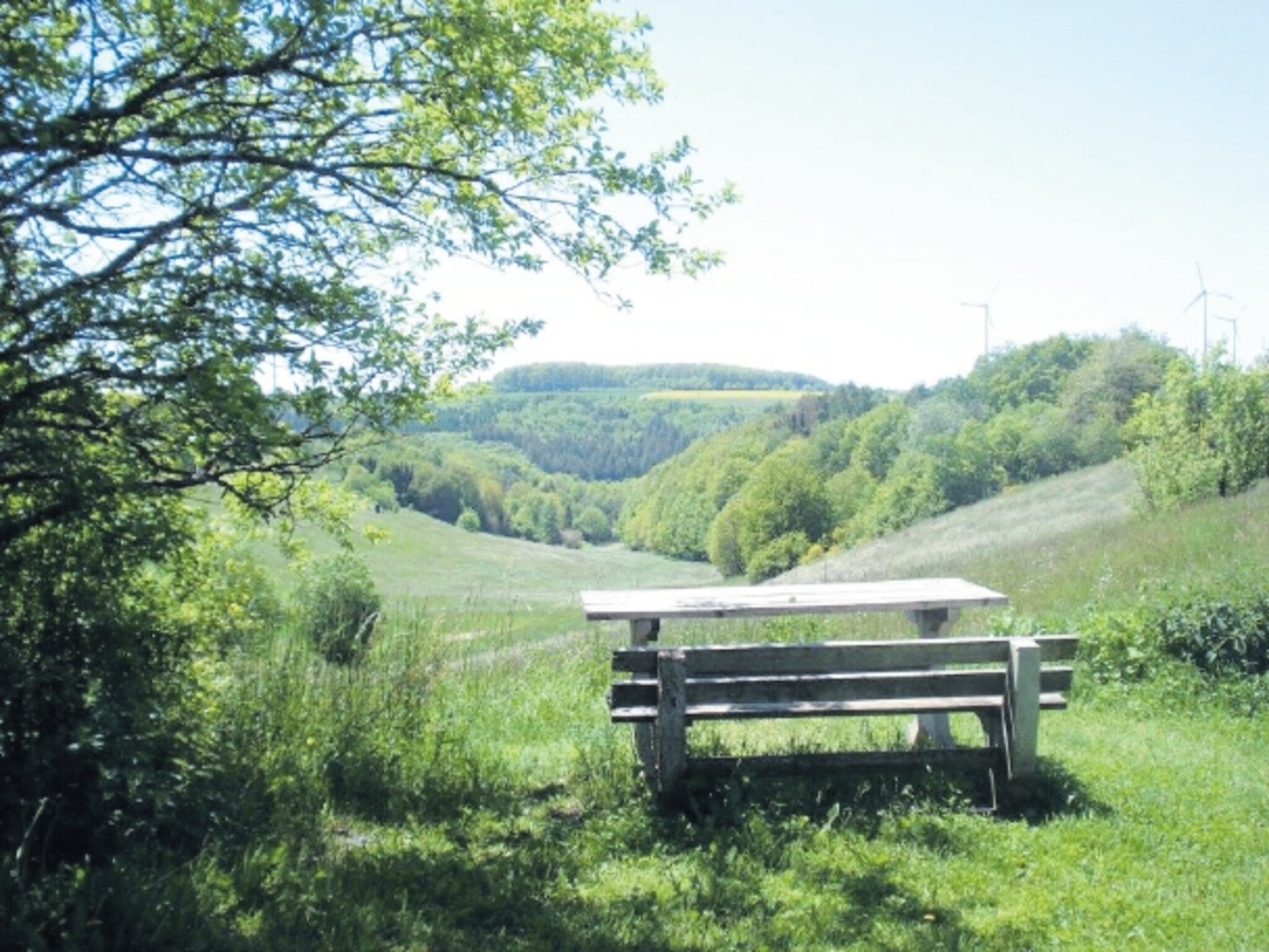 Tourist-Information Waldfischbach-Burgalben: Der Sickinger Höhenweg ...