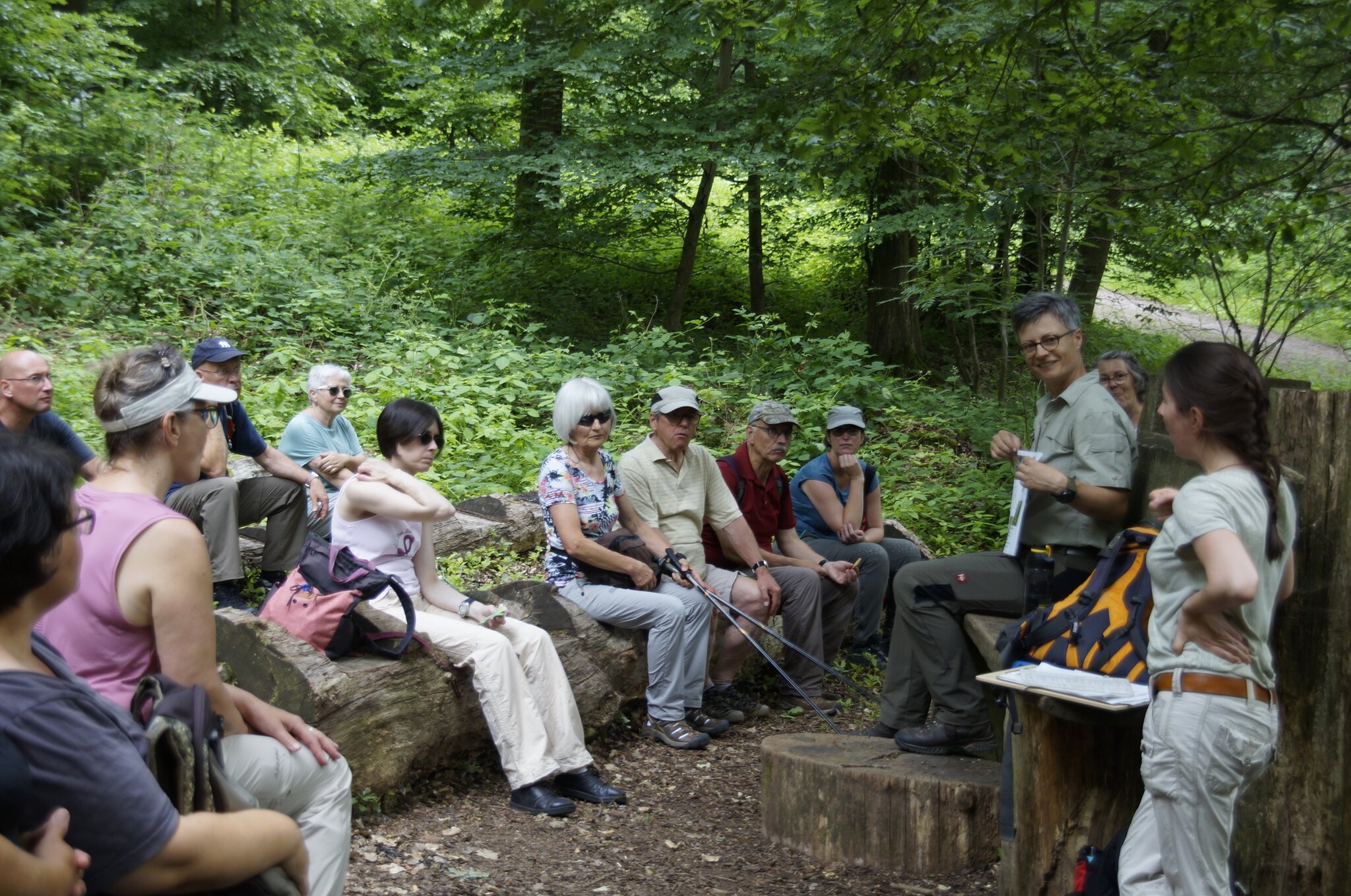 Mit Forstwirtin und Waldpädagogin durch die Winterhelle: Das passiert ...
