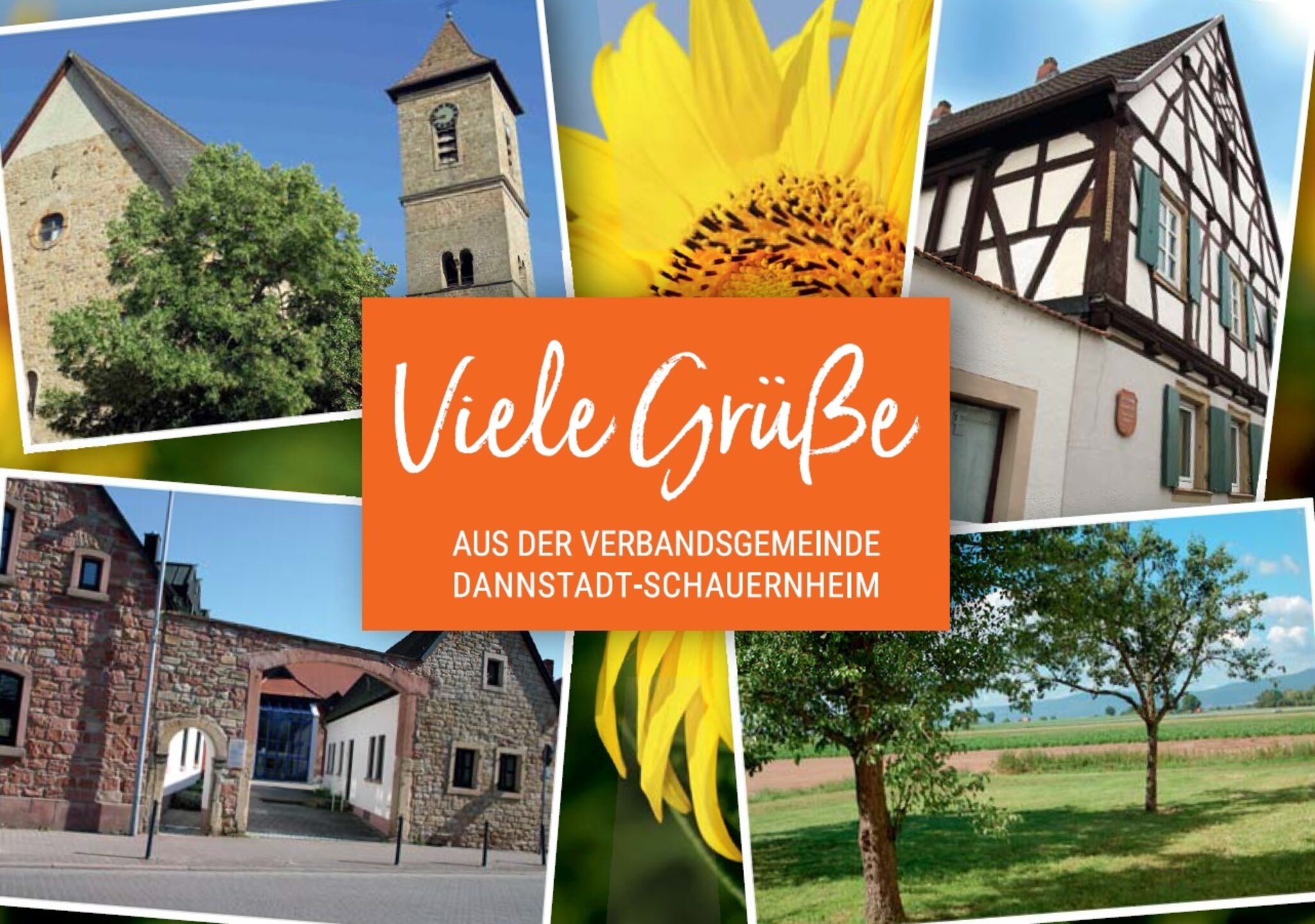 Postkarte der Verbandsgemeinde Dannstadt-Schauernheim: Druckfrisch zu ...