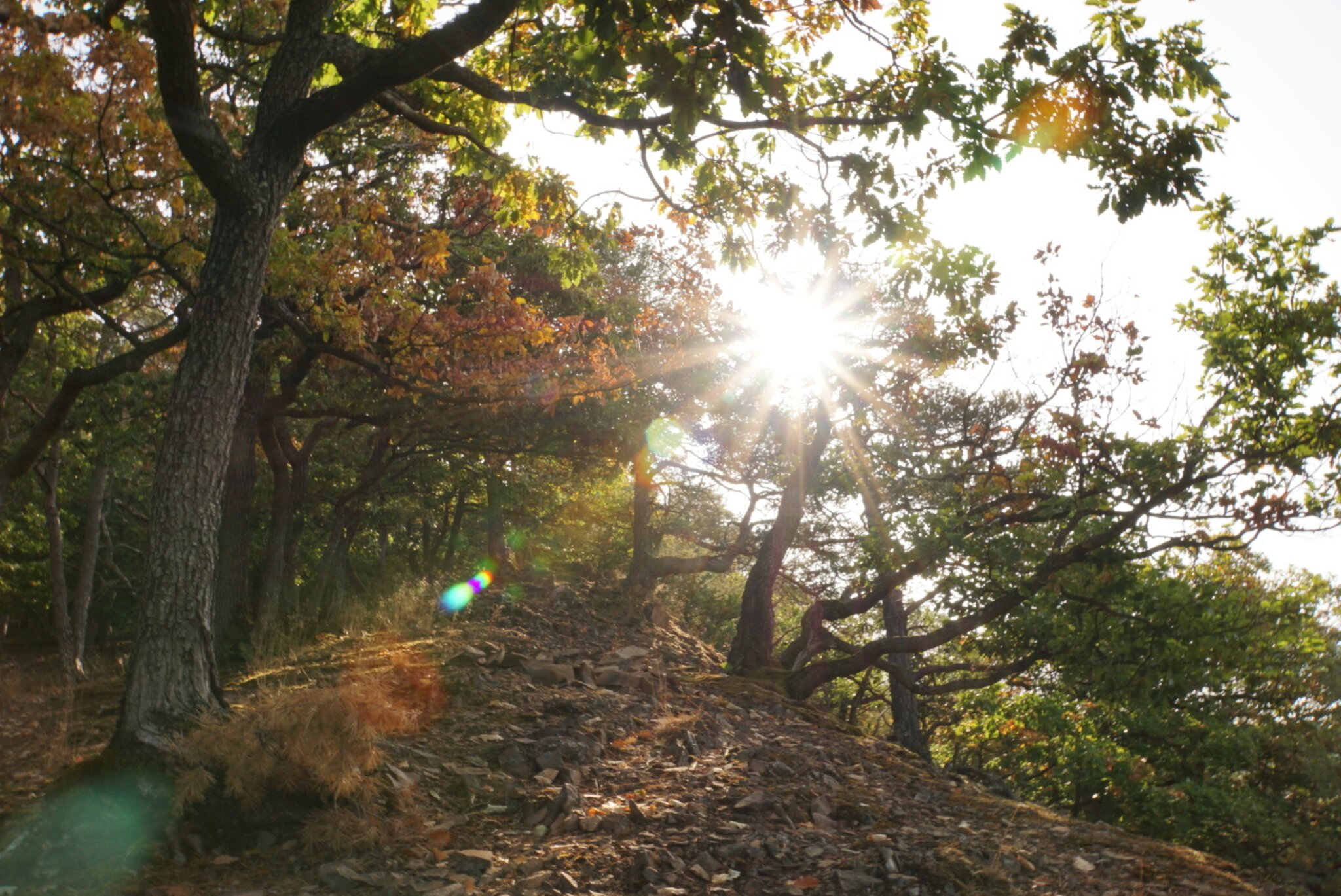 Oberweiler im Tal // Oktober - Lauterecken-Wolfstein