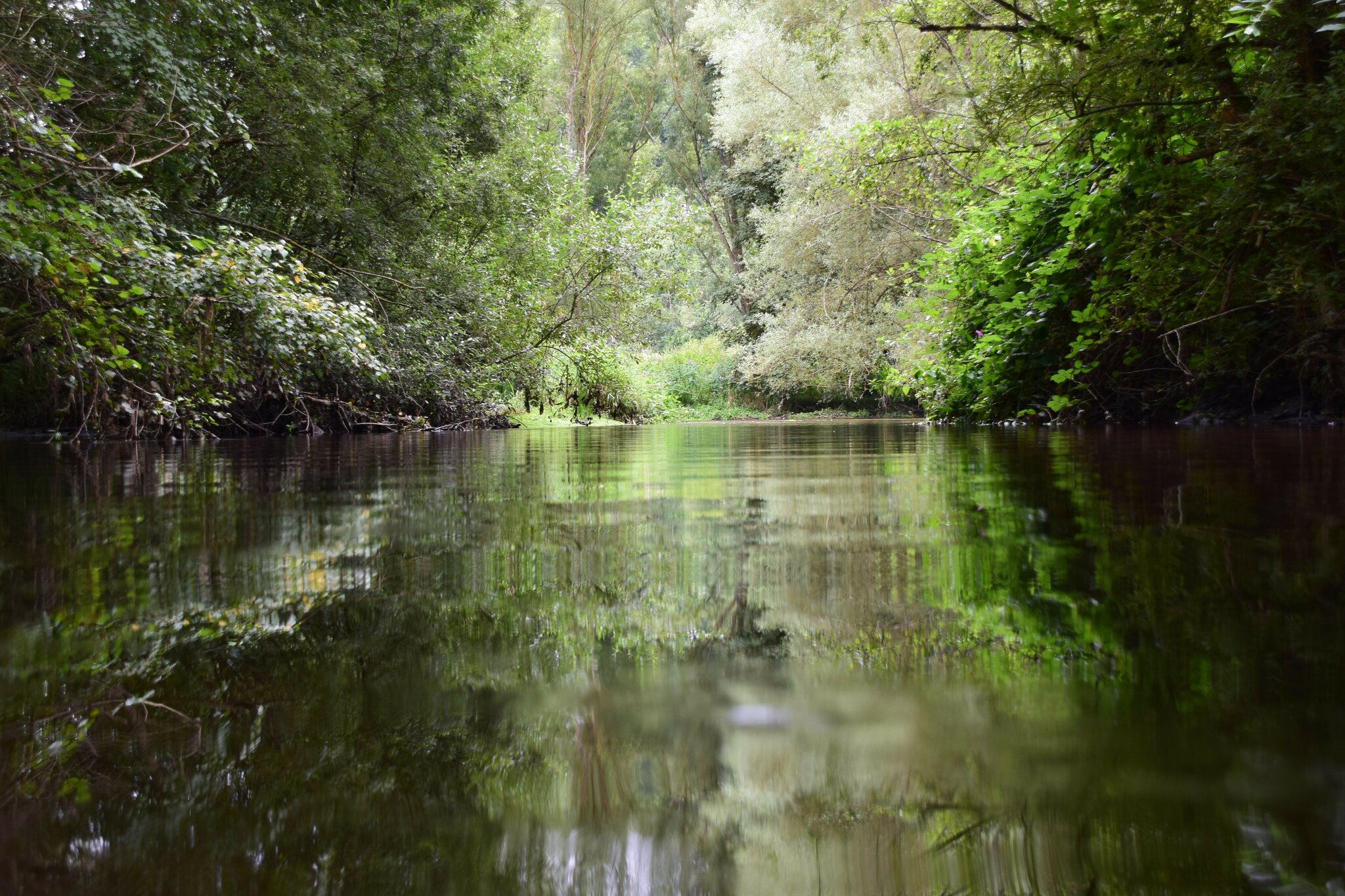 Wasser: "Aus der Mitte entspringt ein Fluss" - Bedesbach
