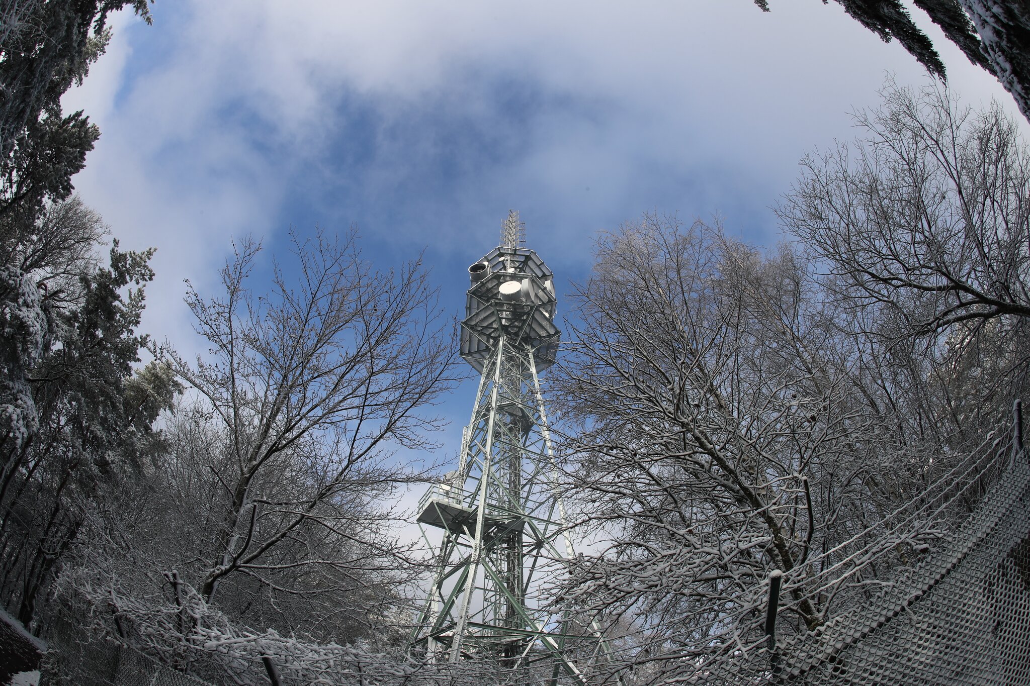 Kalmit im Schnee: ein traumhafter Morgen auf der Kalmit - Maikammer
