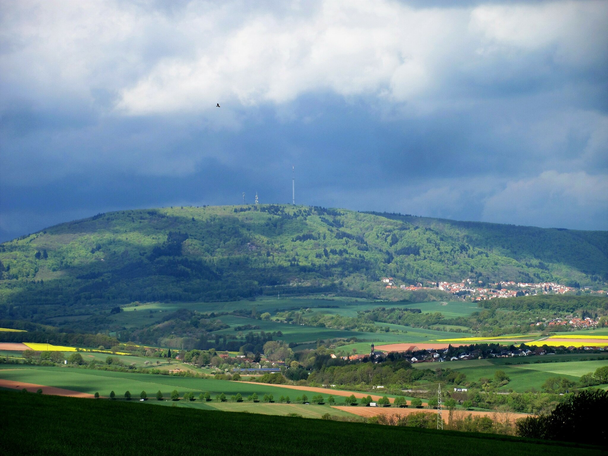 Auszeichnung am 24. Oktober: Der Donnersberg ist ein Nationaler Geotop ...