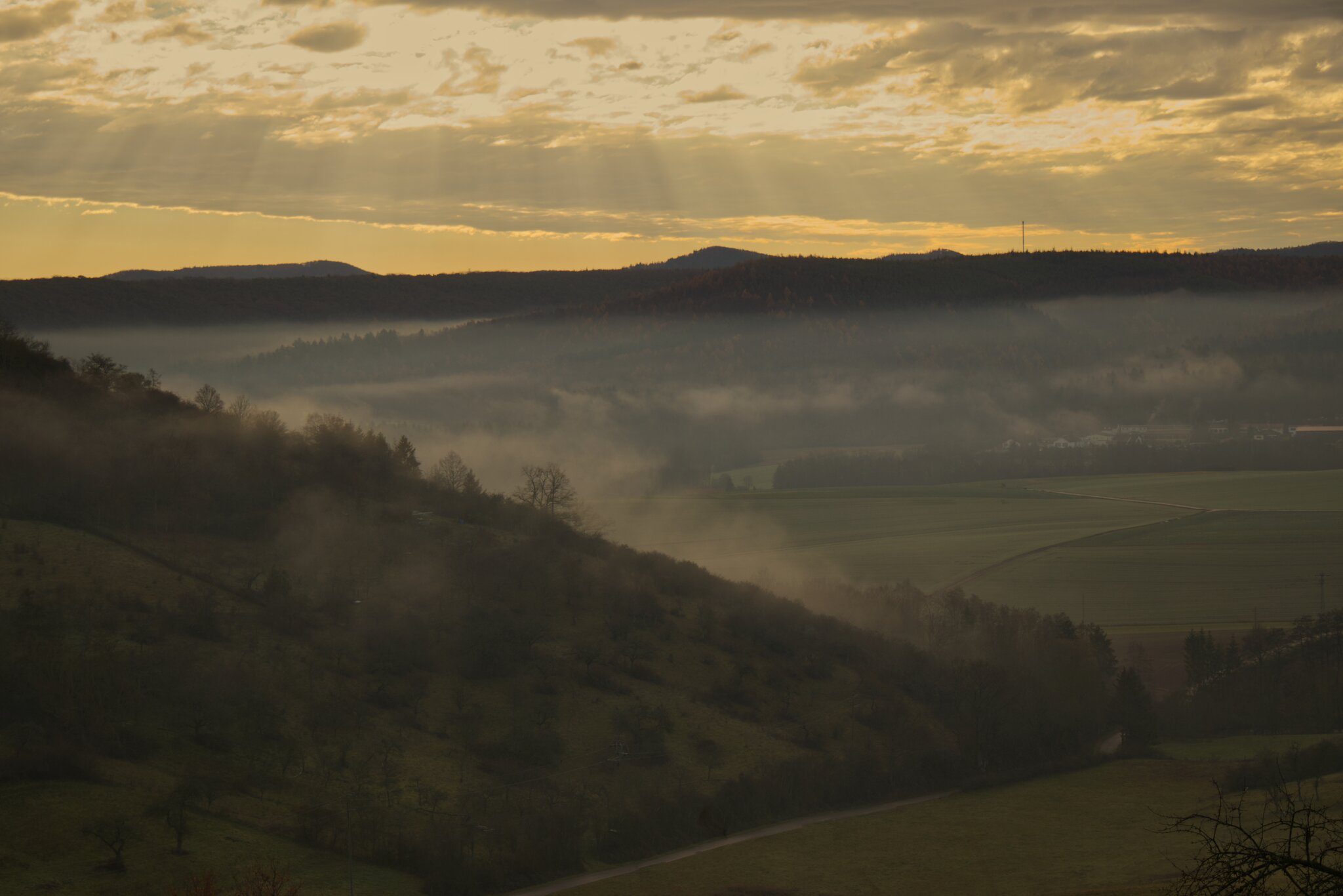 Stauf und Ramsen im Nebelmeer, Dezember 2020: Wochenblatt-Reporter ...