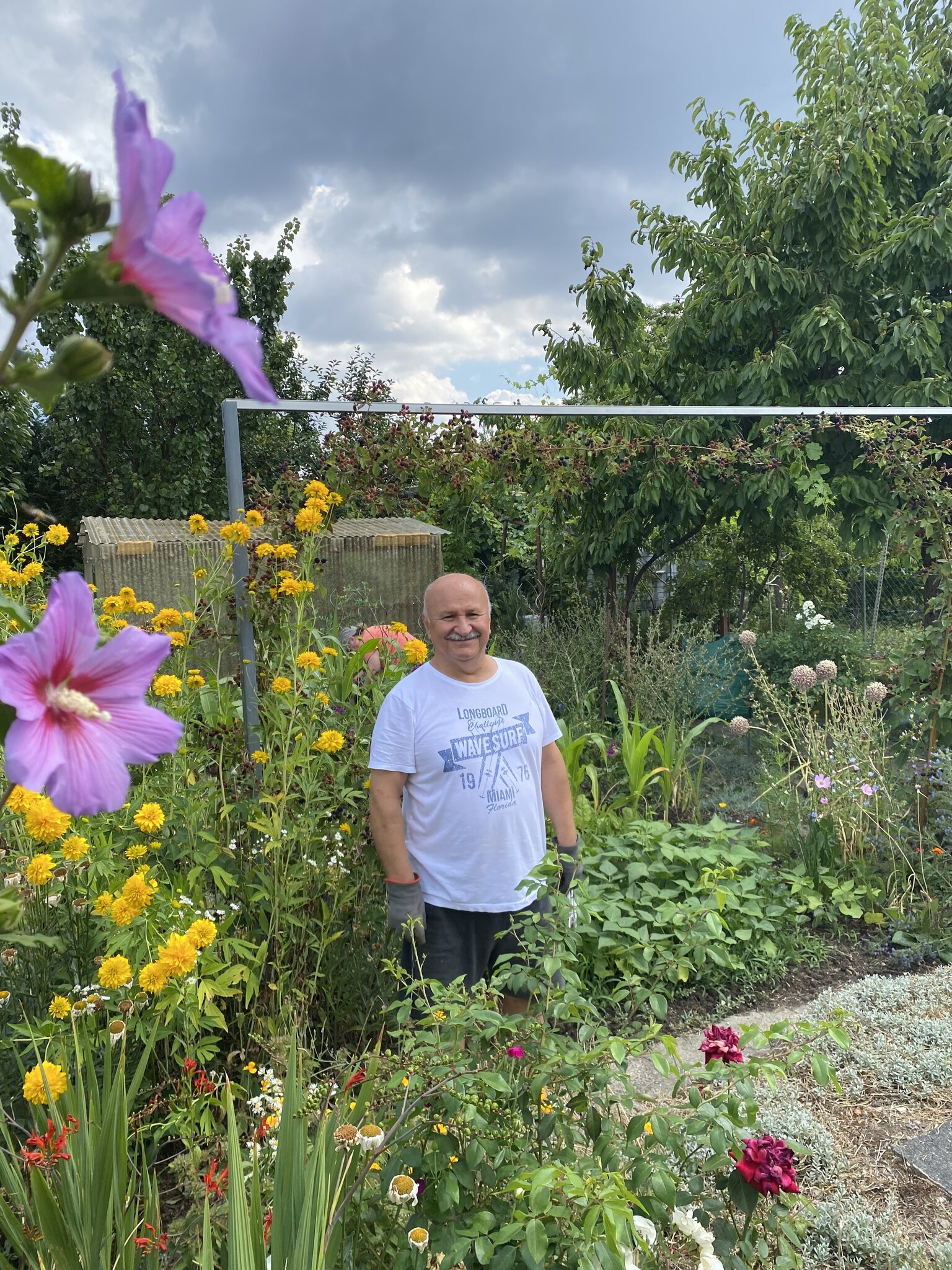 Selbstversorgung zukünftig Lebensgrundlage?: Ein Stück Freiheit am ...