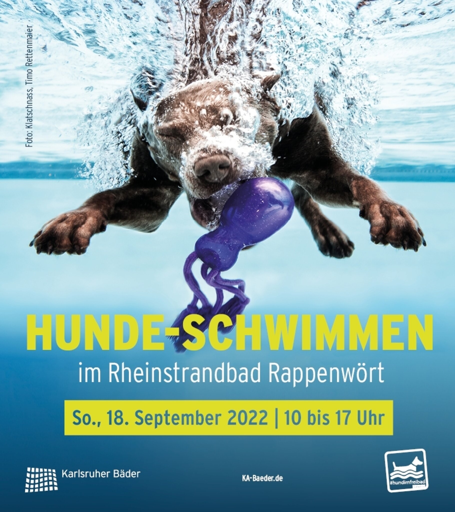 Bade-Event in Karlsruhe: Hunde-Schwimmen - Karlsruhe