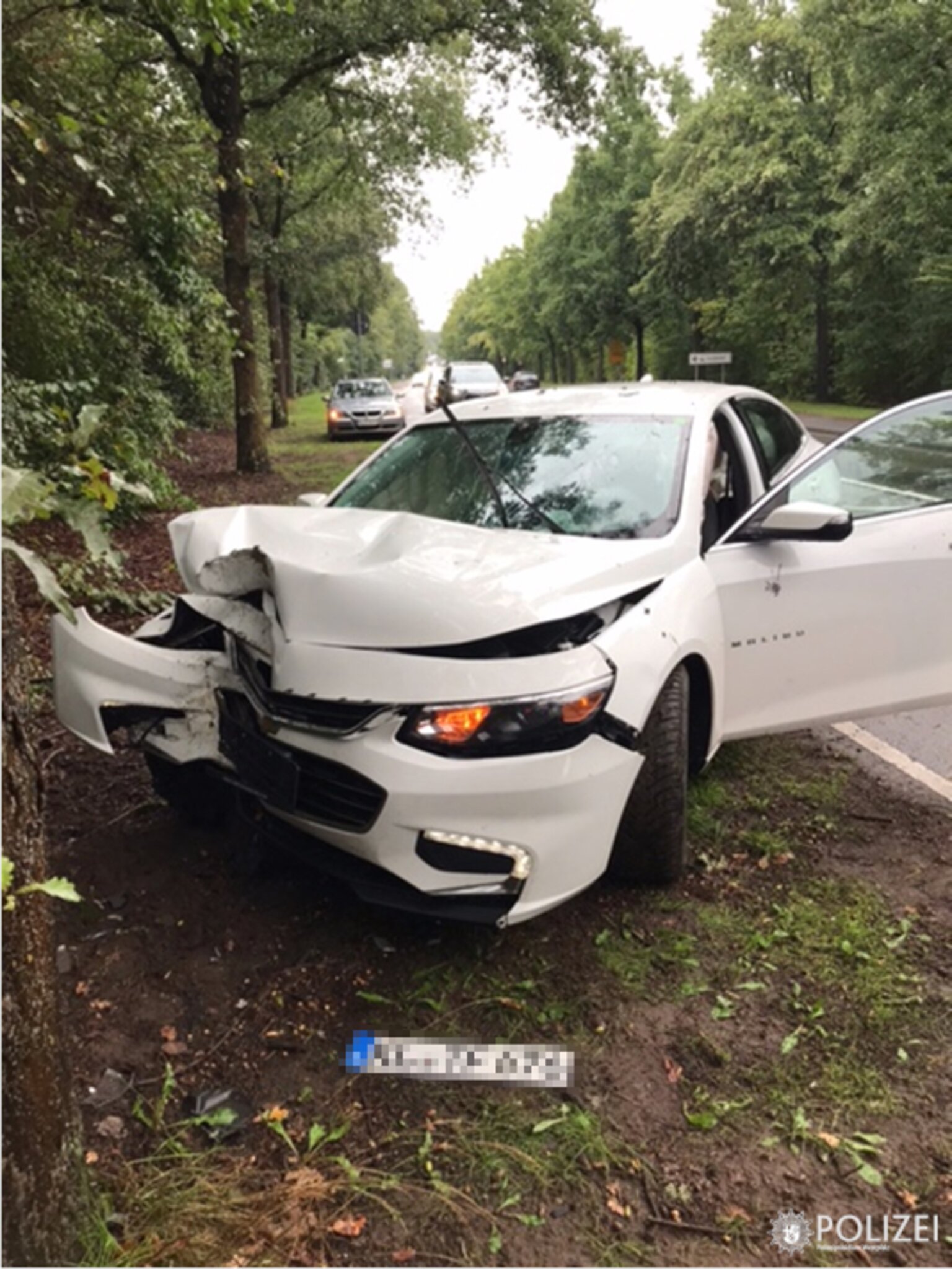 Frontal gegen Baum geprallt: Junger Fahrer wird schwer verletzt - Kaiserslautern