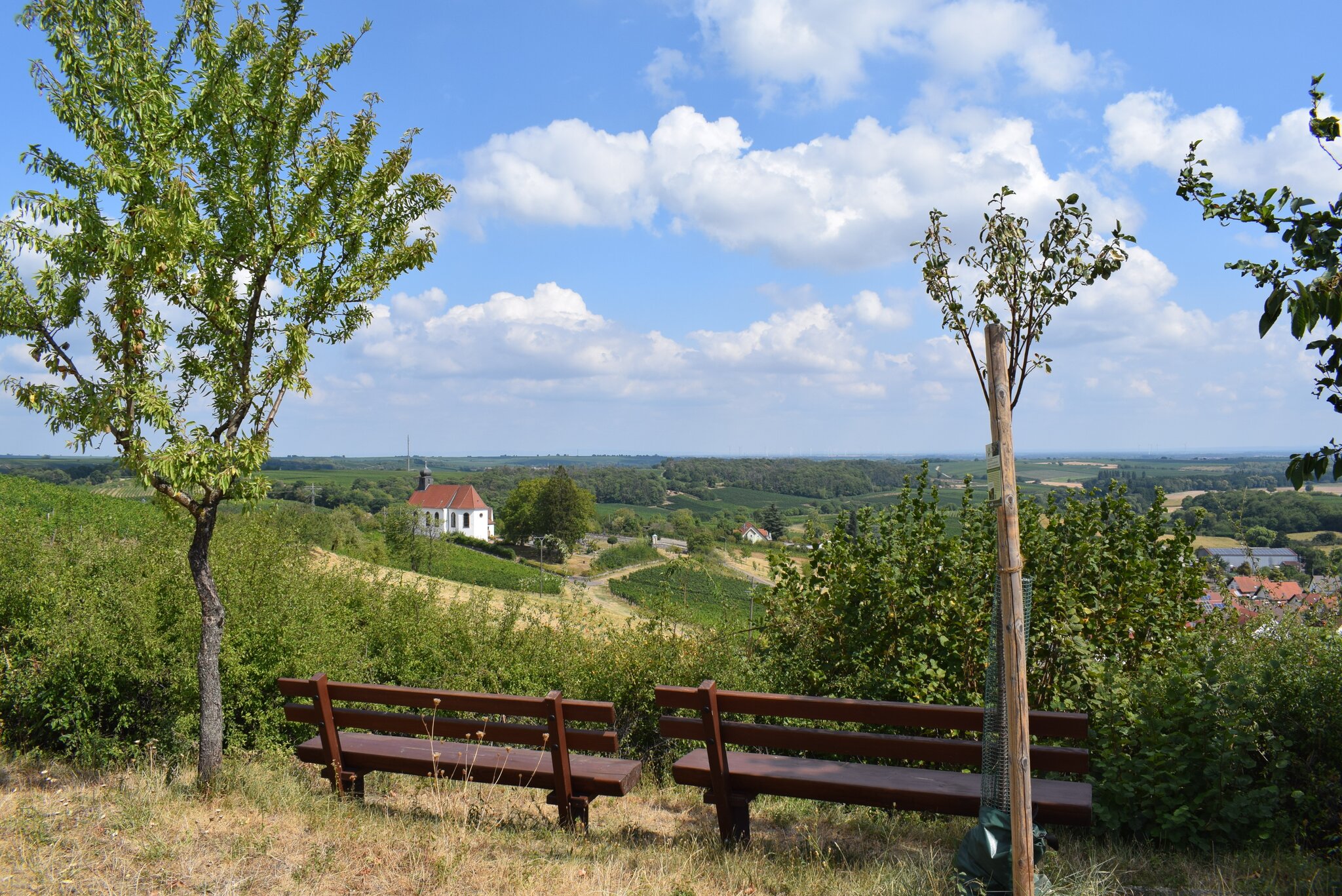 Muskateller Rundweg mit tollen Aussichten: Herbstzeit ist Wanderzeit ...