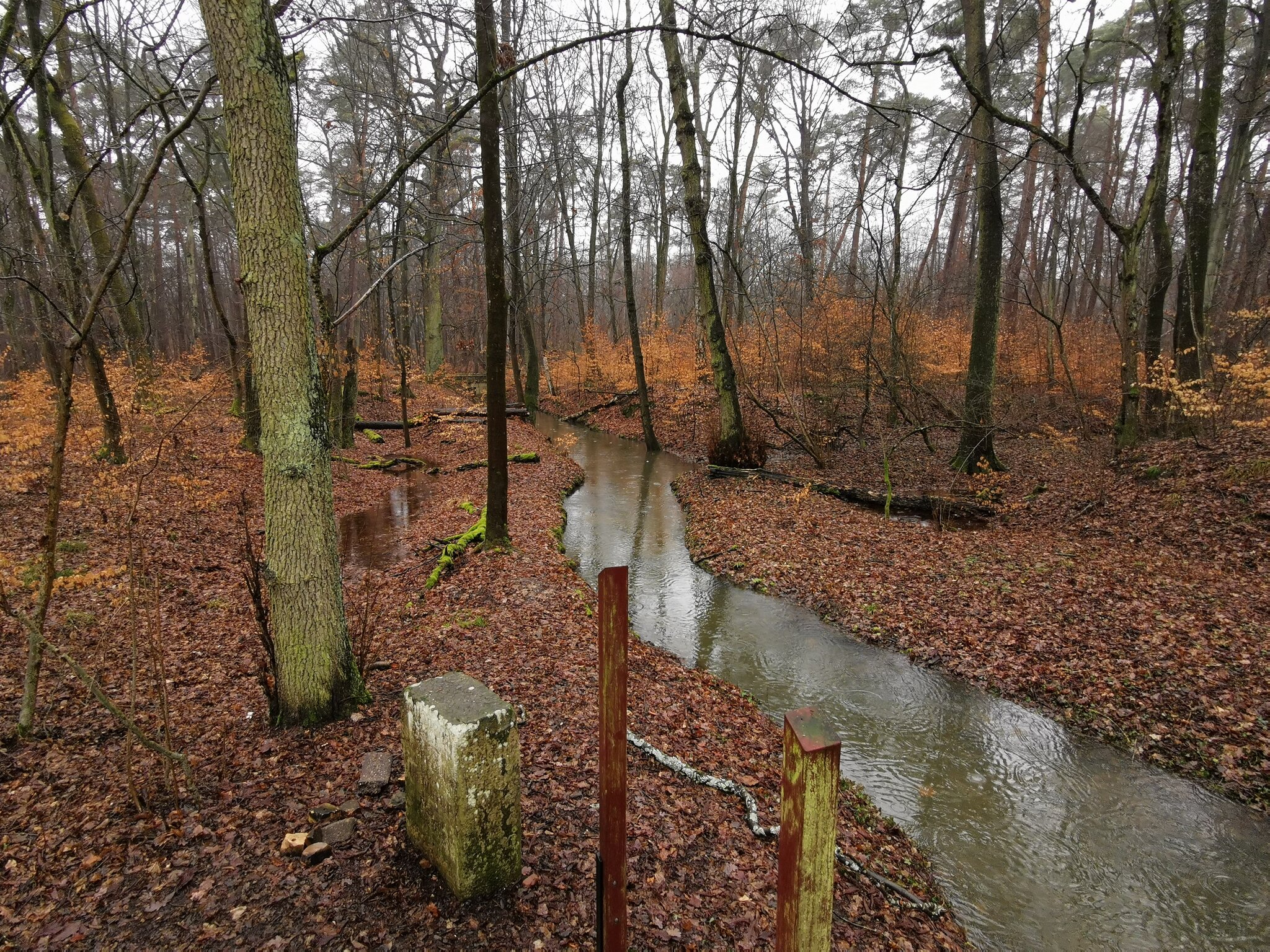 Neues Buch von Ulrich Magin: Perfekt für Halloween – Pfälzer Spukorte ...