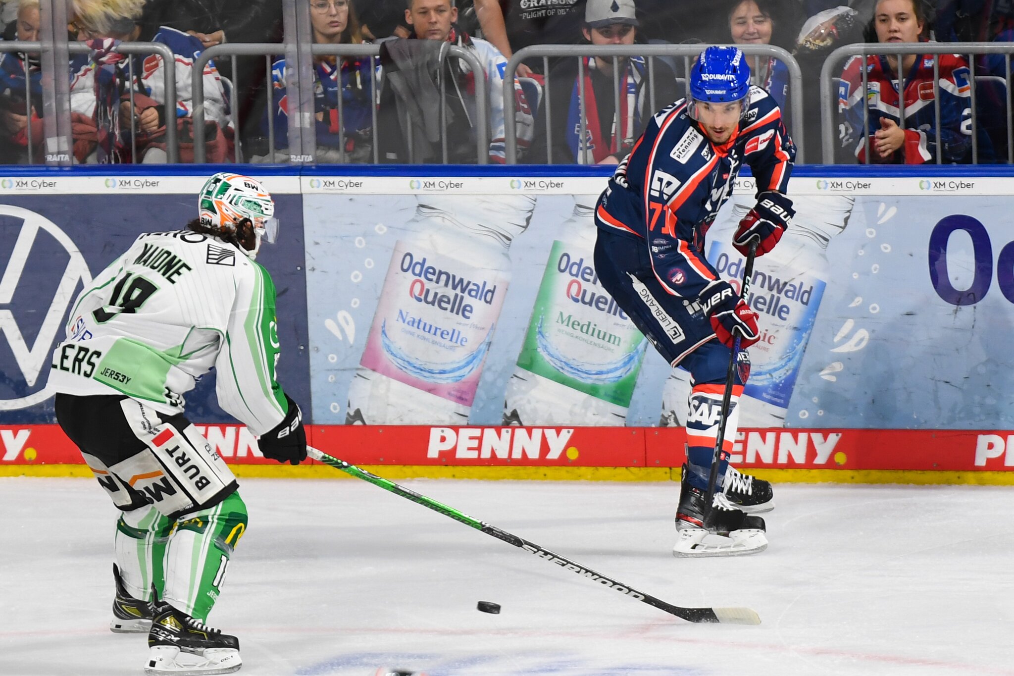 Eishockey: Baden-Württemberg-Duelle gehen an die Adler Mannheim - Mannheim