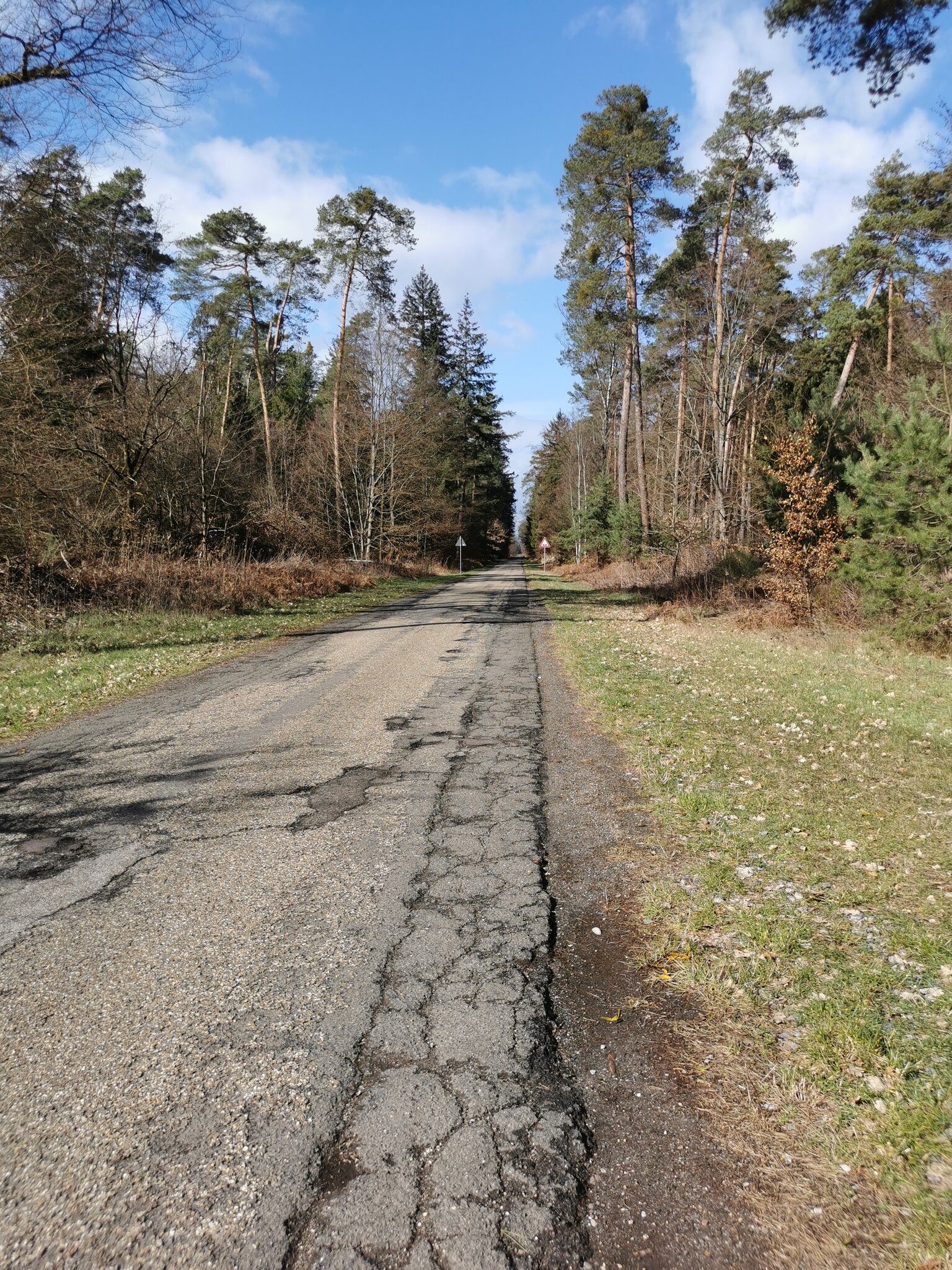 Kreis, Stadt Wörth und LBM finden Kompromiss: Aus K23 wird innerorts ...