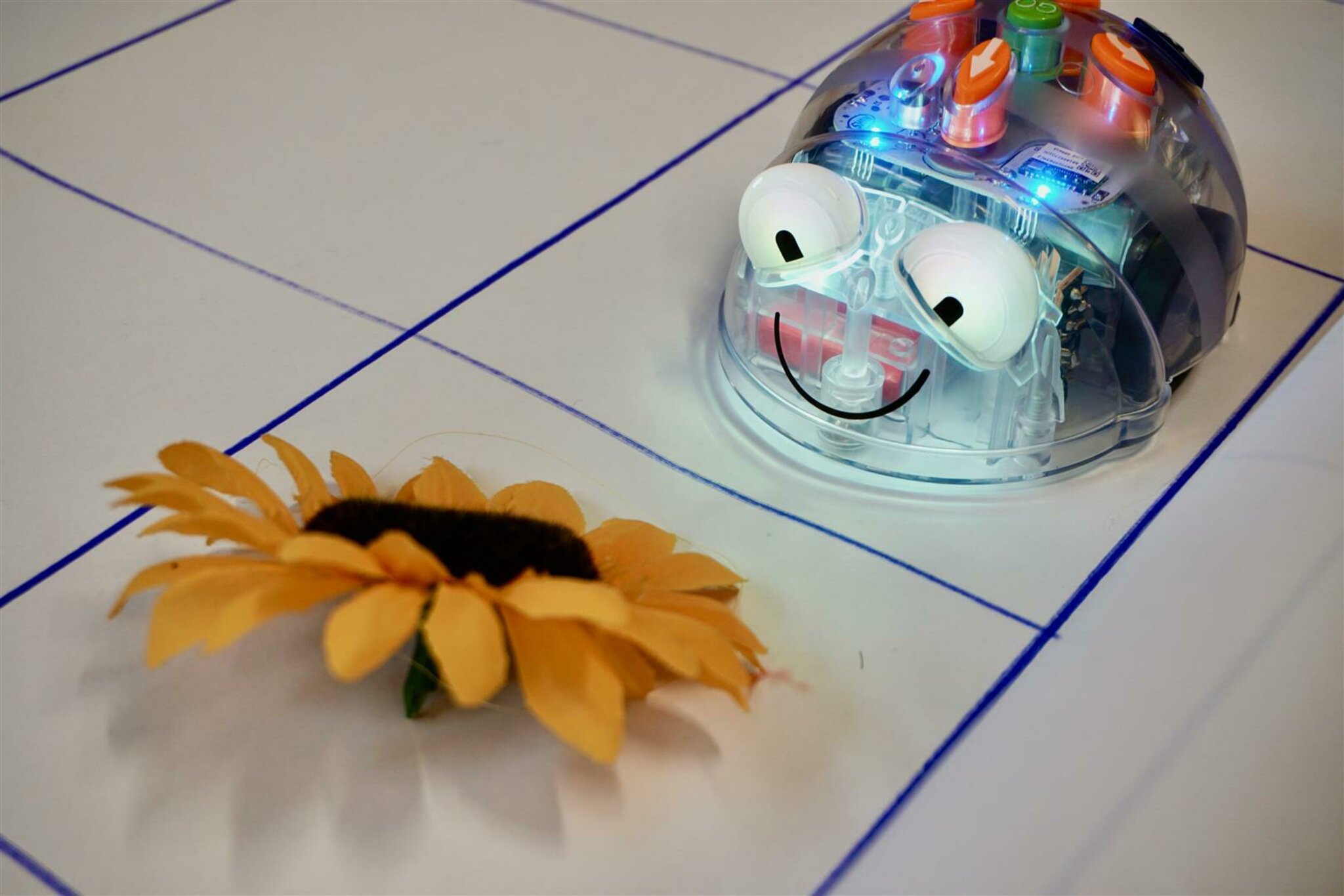 Stadtbücherei Frankenthal: Freitagsaktion: Blue-Bot programmieren ...