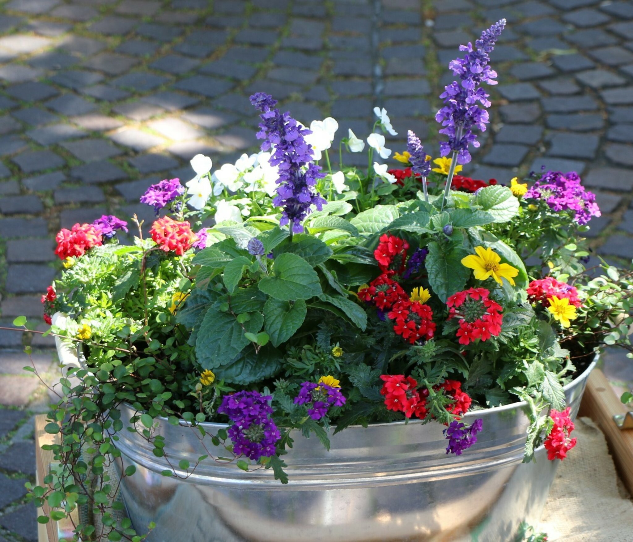 Plant-tastic in Kandel: Pflanzentausch und mehr - vor der Stadthalle ...