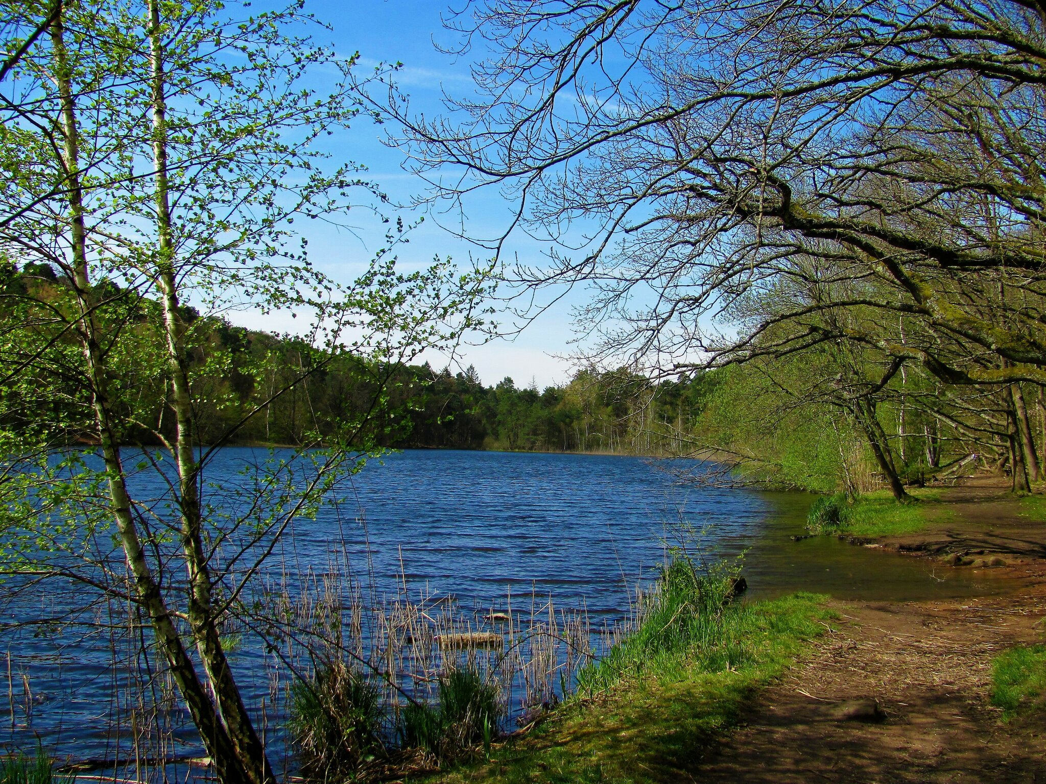 Nur Ein Schritt.....: IN LAUTERN-UM LAUTERN-UM LAUTERN HERUM ...