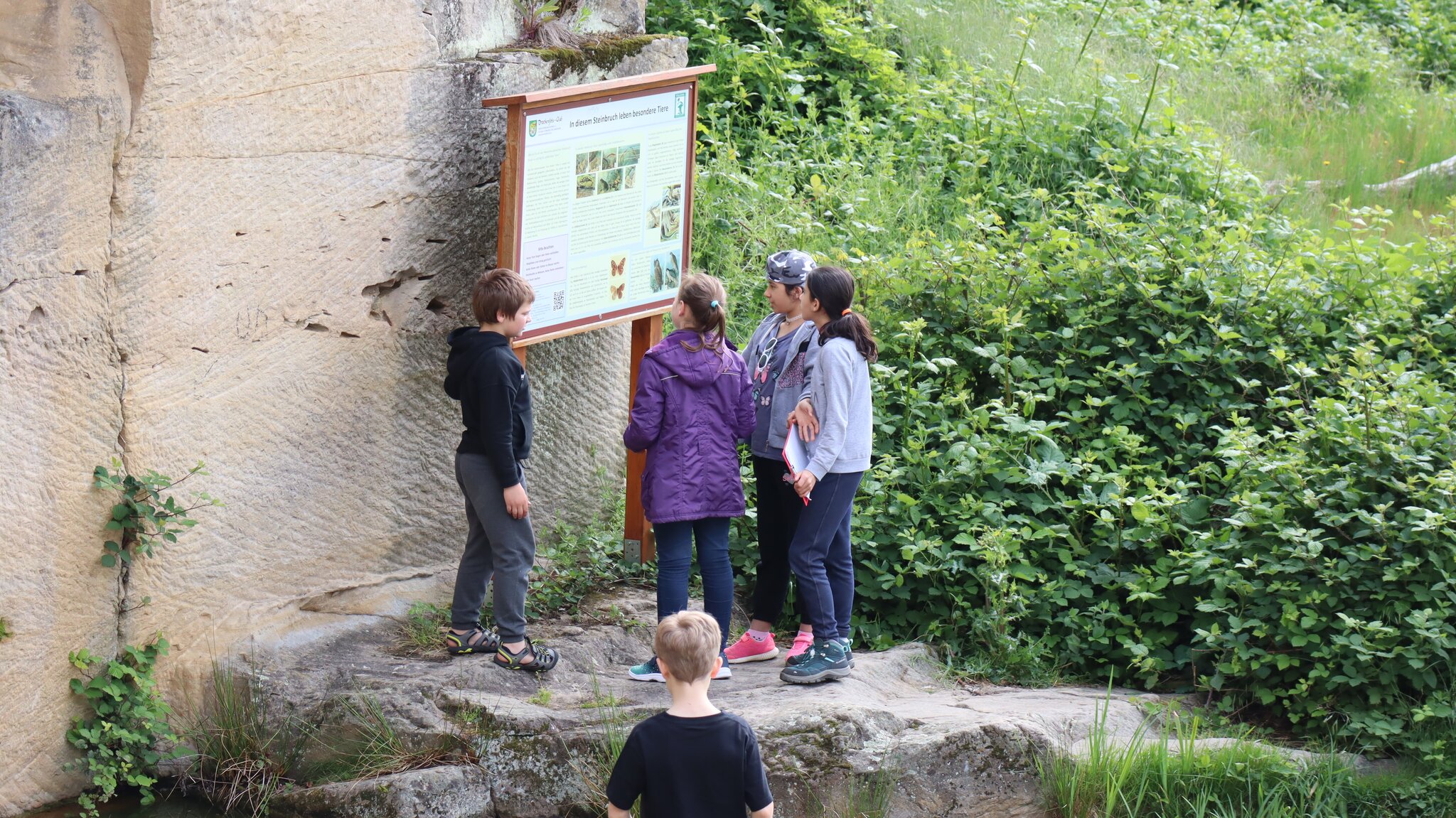 Drachenfels-Club kooperiert mit Grundschulen: Traditionsverein macht ...