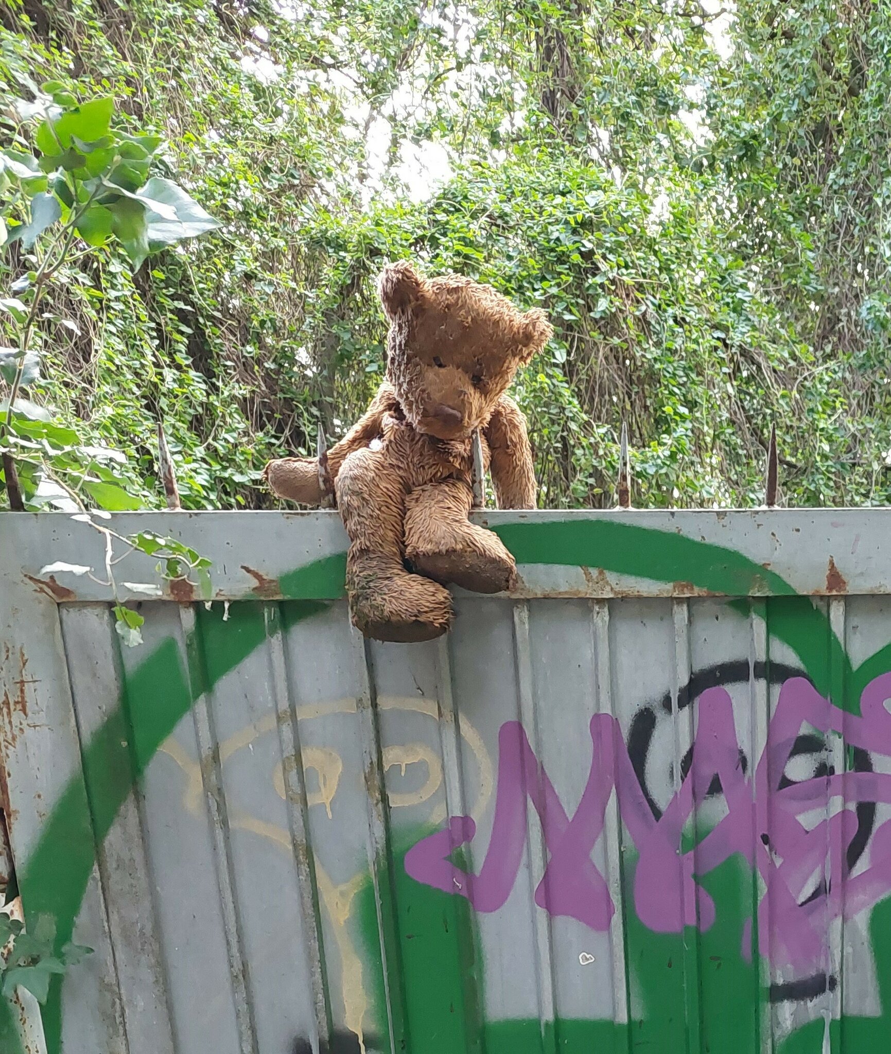 Vom Dauerregen durchnässt: Obdachlos den Naturgewalten ausgesetzt ...