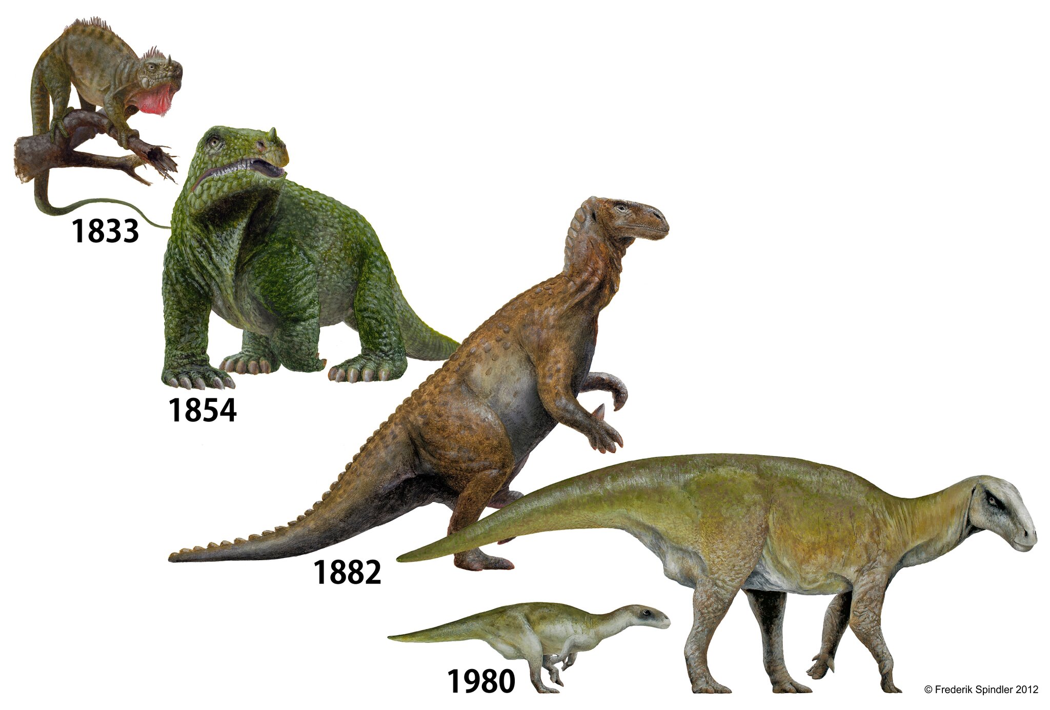 Pfalzmuseum für Naturkunde: Vortrag „Saurier – Die Erfindung der Urzeit ...