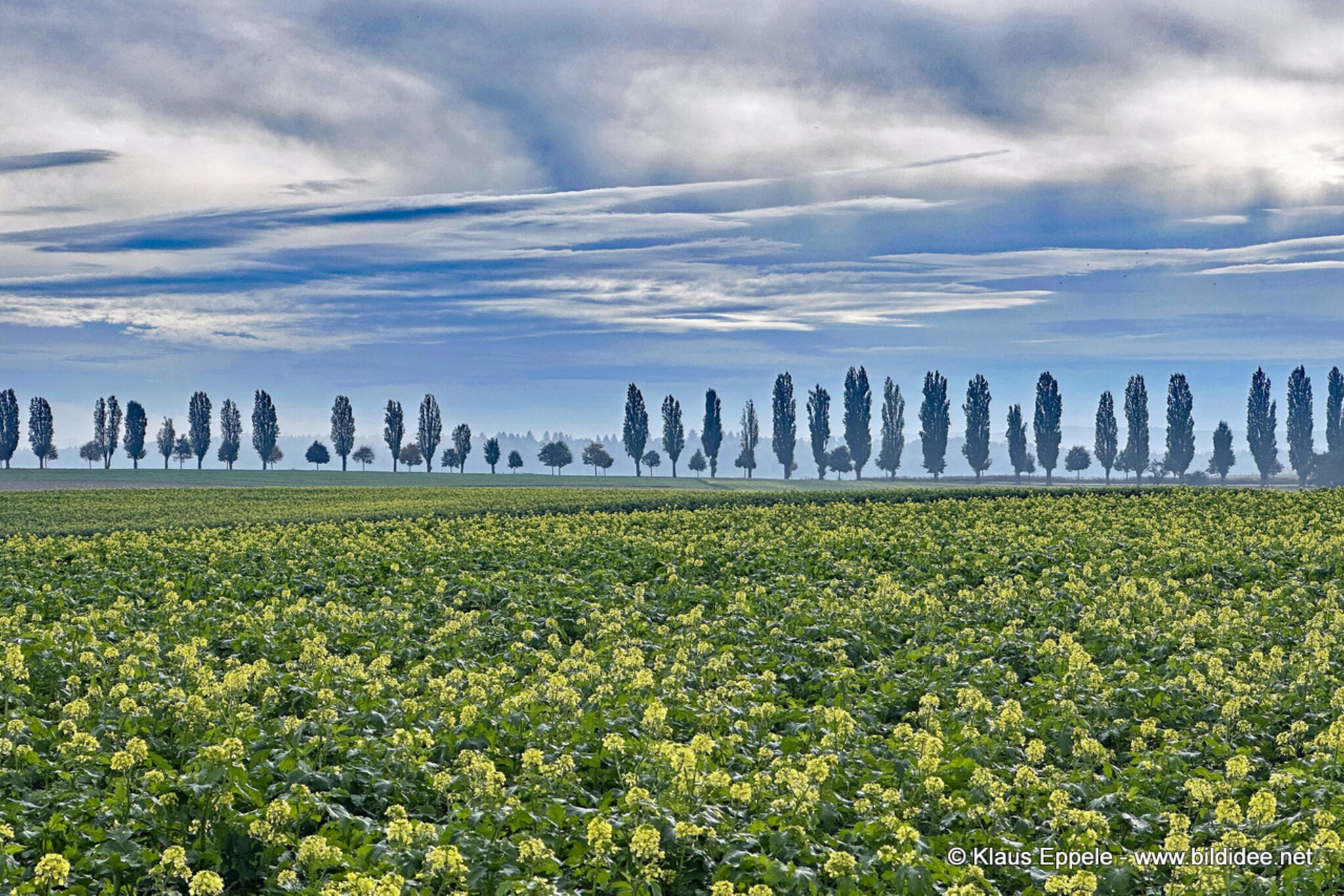 Bildergalerie: Oktober 2023 im Rückblick mit Fotos aus der Pfalz und ...