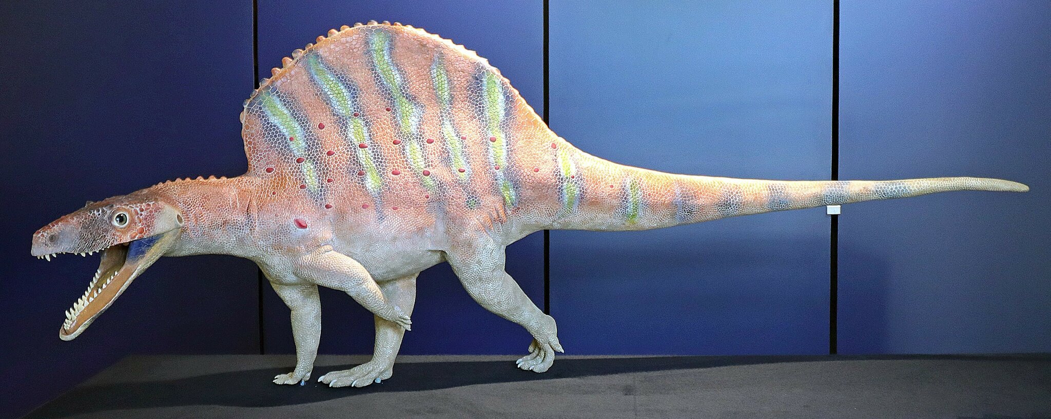 Wer war Chirotherium?: Vortrag im Pfalzmuseum für Naturkunde in Bad ...