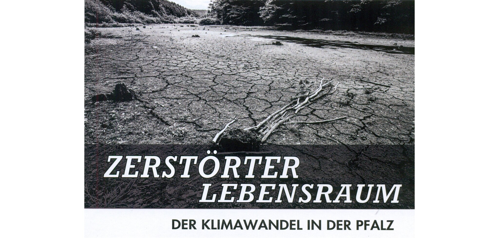 Neue Sonderausstellung in Ramstein: Museum im Westrich zeigt Fotos zum ...