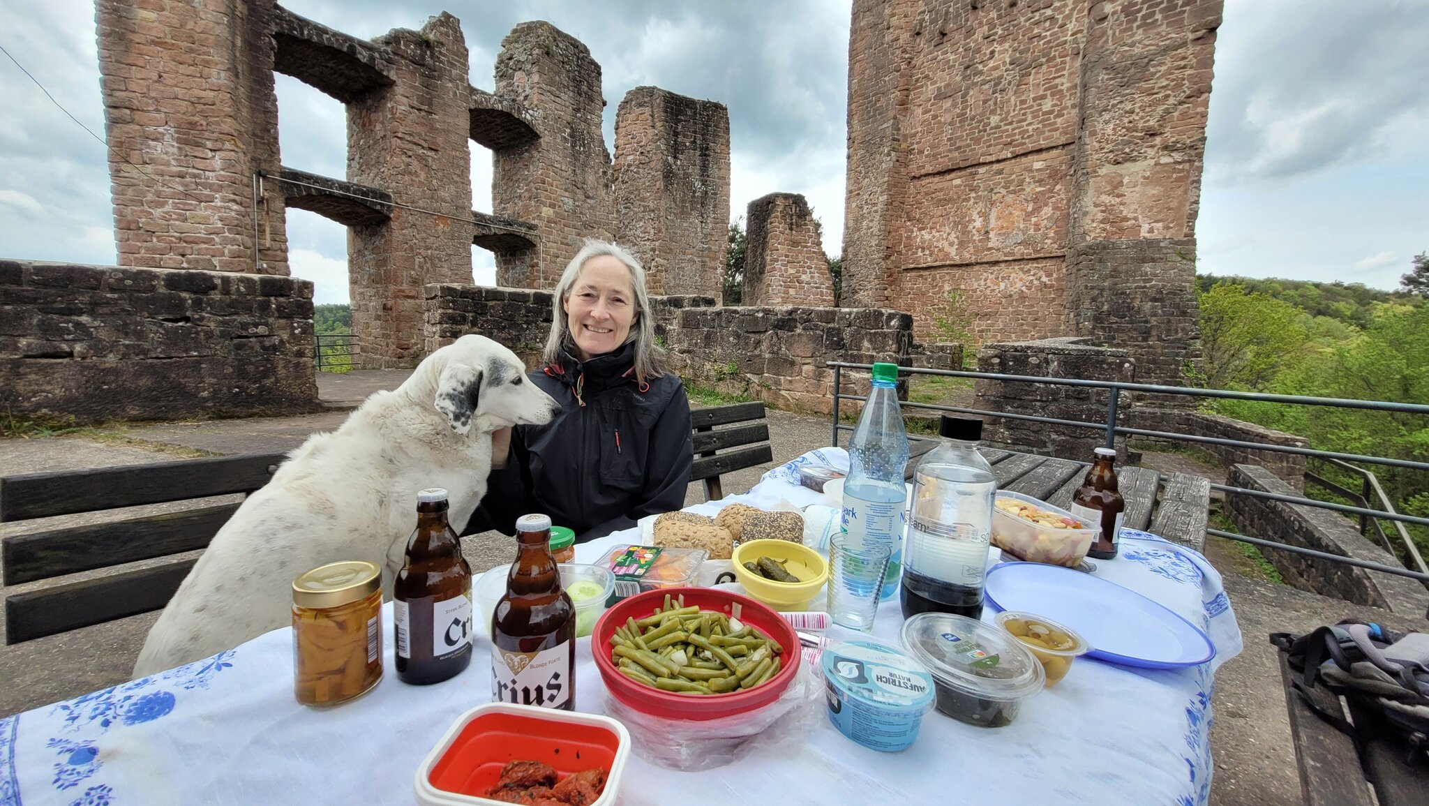 Romantisches Picknick auf der Ramburg - Neustadt/Weinstraße