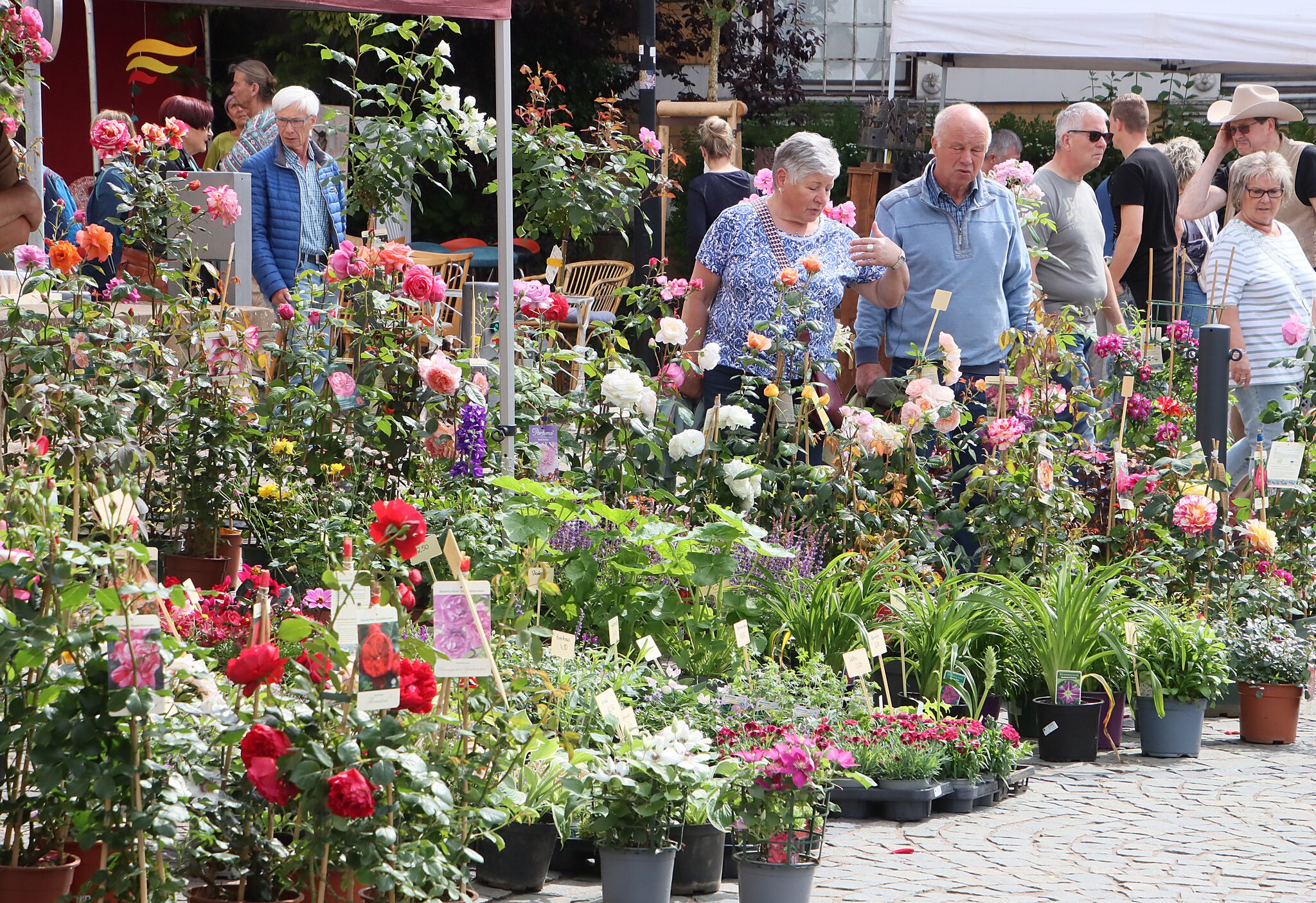 Bauern-, Handwerker- und Winzermarkt in St. Wendel - St. Wendel