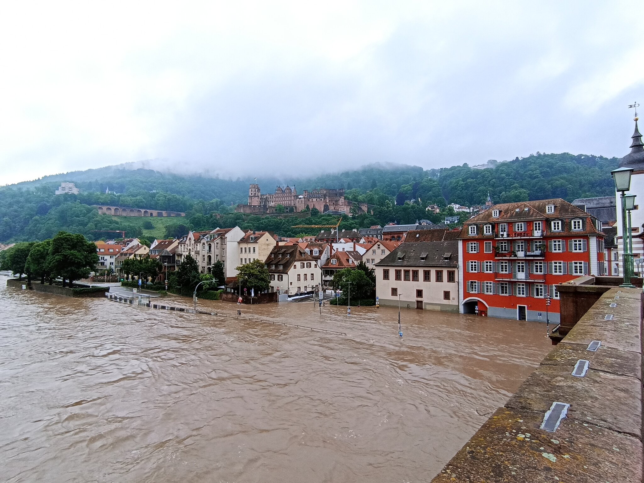 Hochwasser am Neckar: Land unter in Heidelberg - Wochenblatt Rhein-Neckar