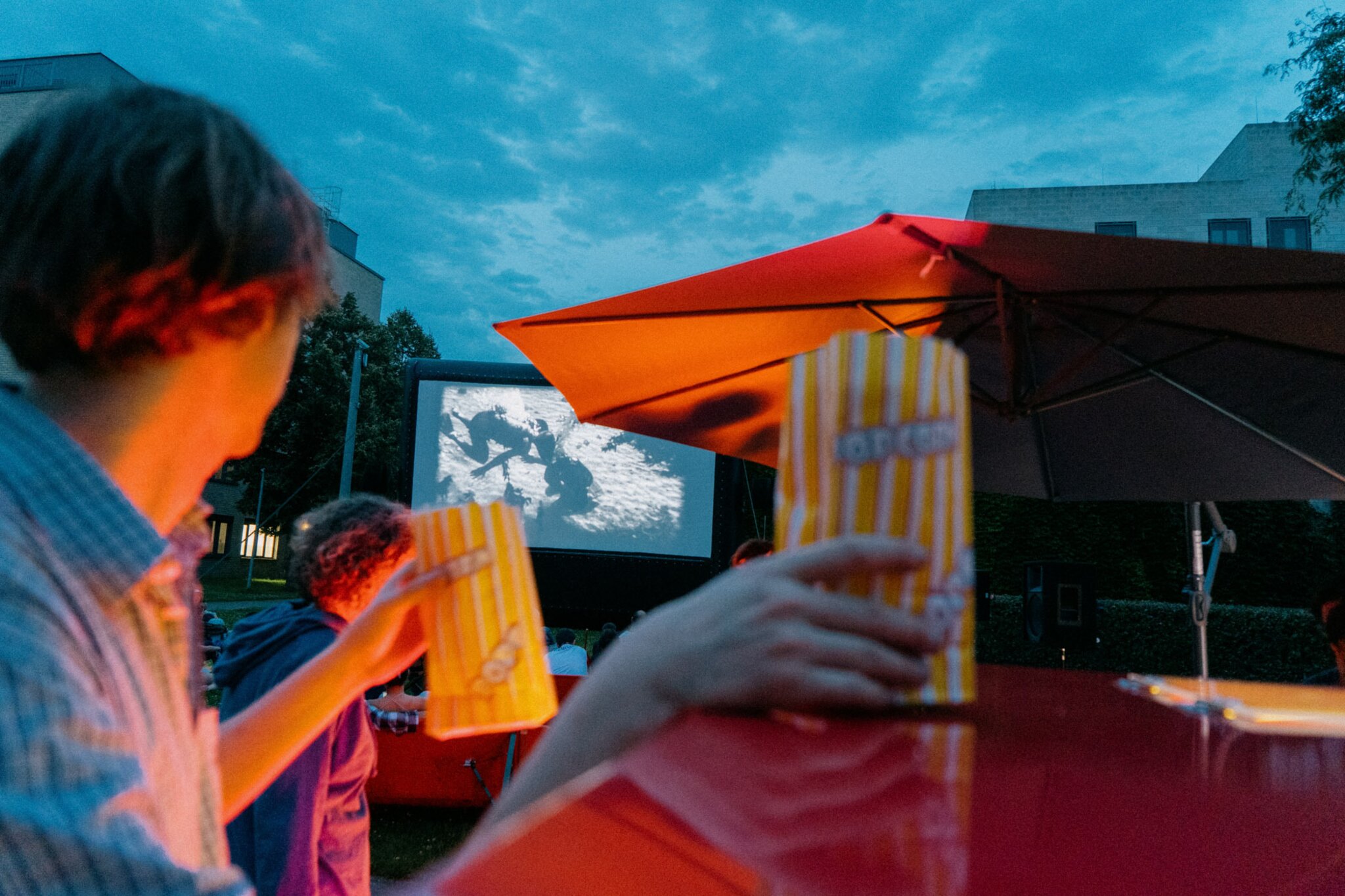 Kino im Blauen Salon: HfG Open Air Kino – ein Rückblick - Karlsruhe