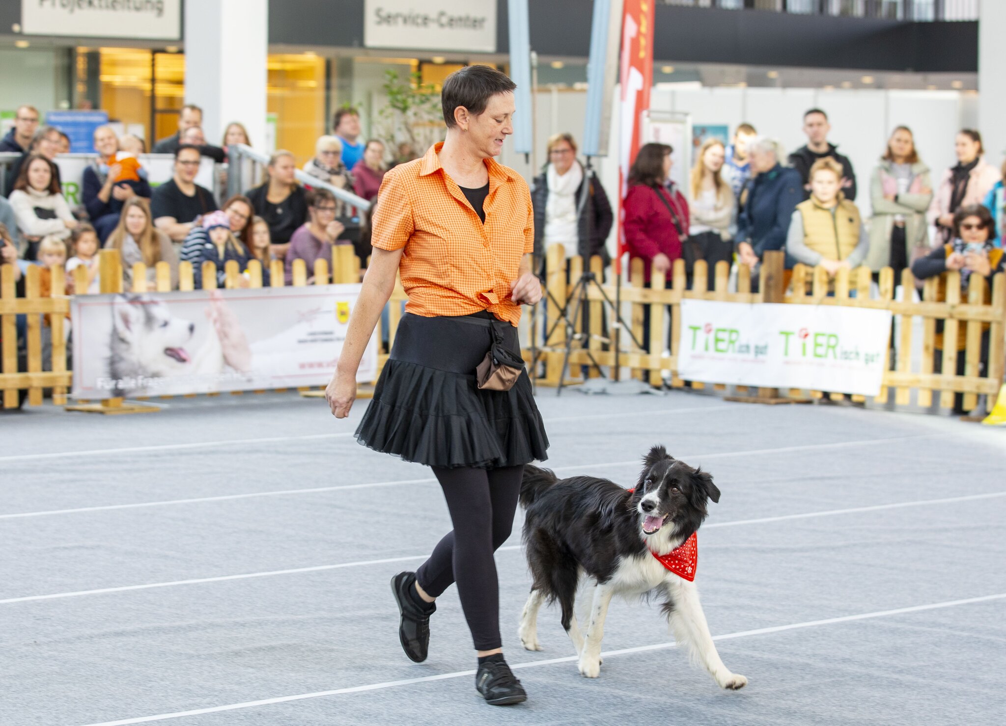 Rassehunde Karlsruhe: Ausstellung auf der TIERisch gut - Karlsruhe