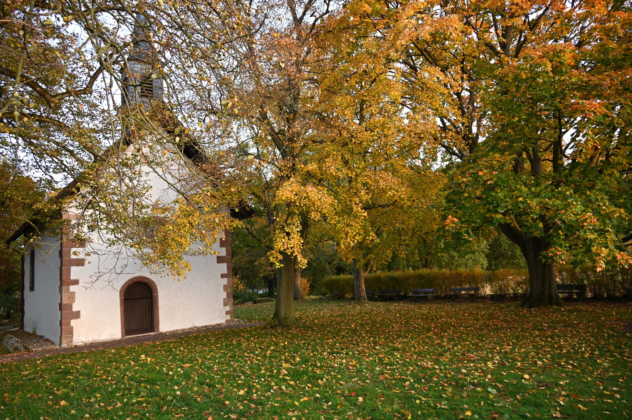 Ein besonderer Ort: Das Schweinheimer Kirchel - Jockgrim