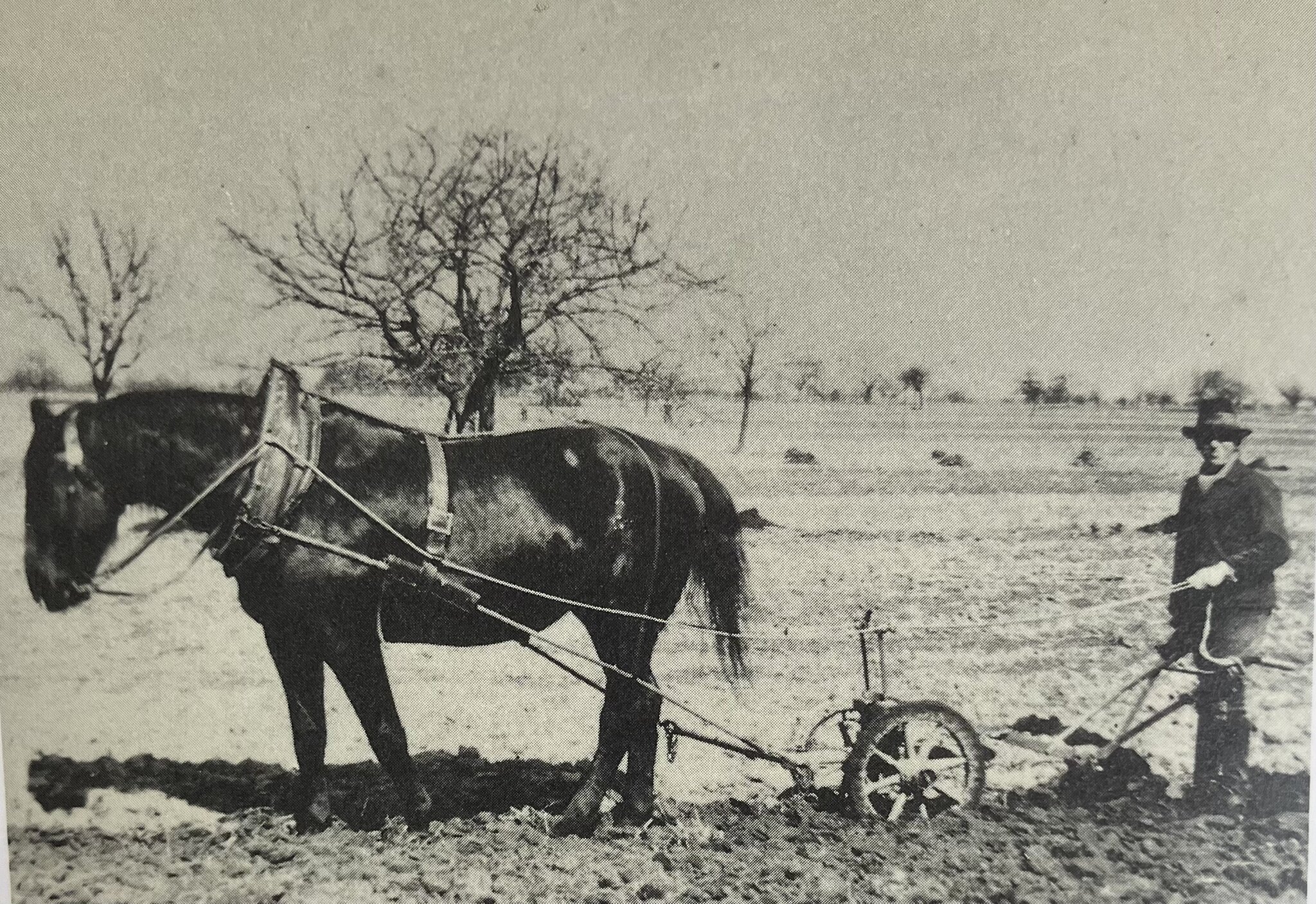 Seniorenclub Schwarzweiherhof e.V.: "Dreschfescht un Duwaksernt ...