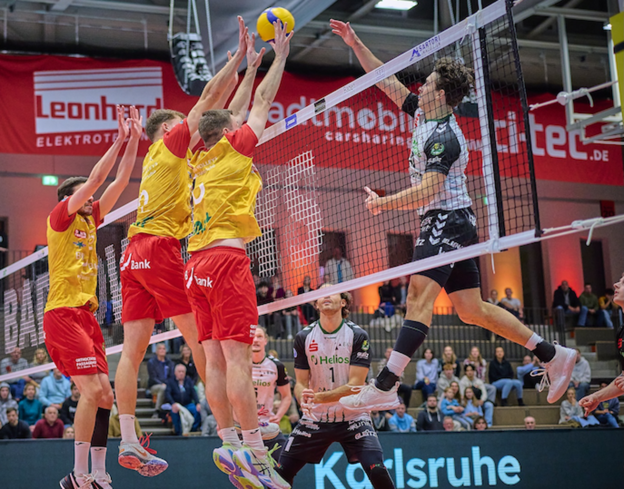 Zu spät aufgewacht: BADEN VOLLEYS haben gegen Grizzlys keine Chance ...