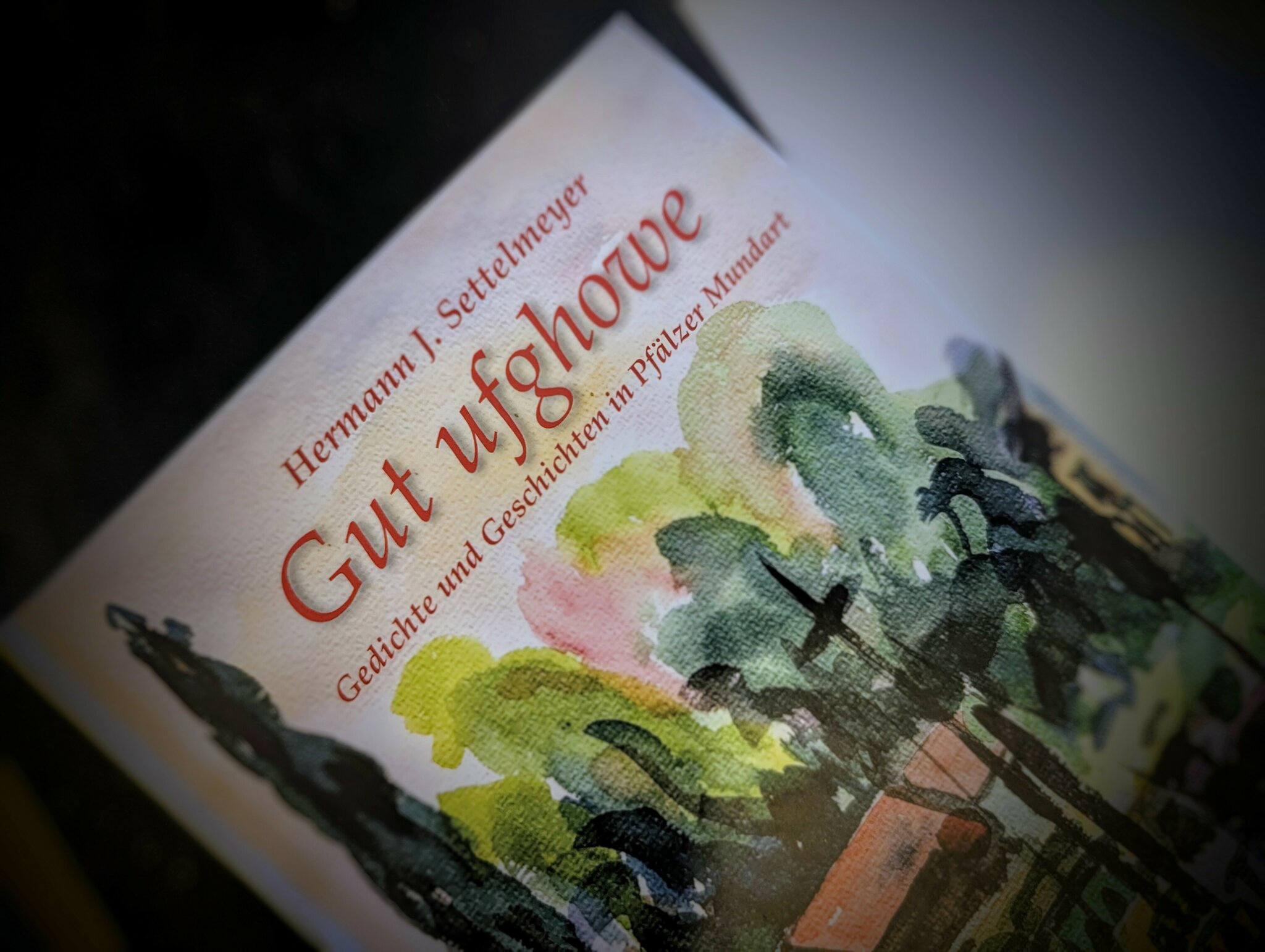 "Gut ufghowe": Neues Buch von Hermann Settelmeyer feiert die Liebe zur ...