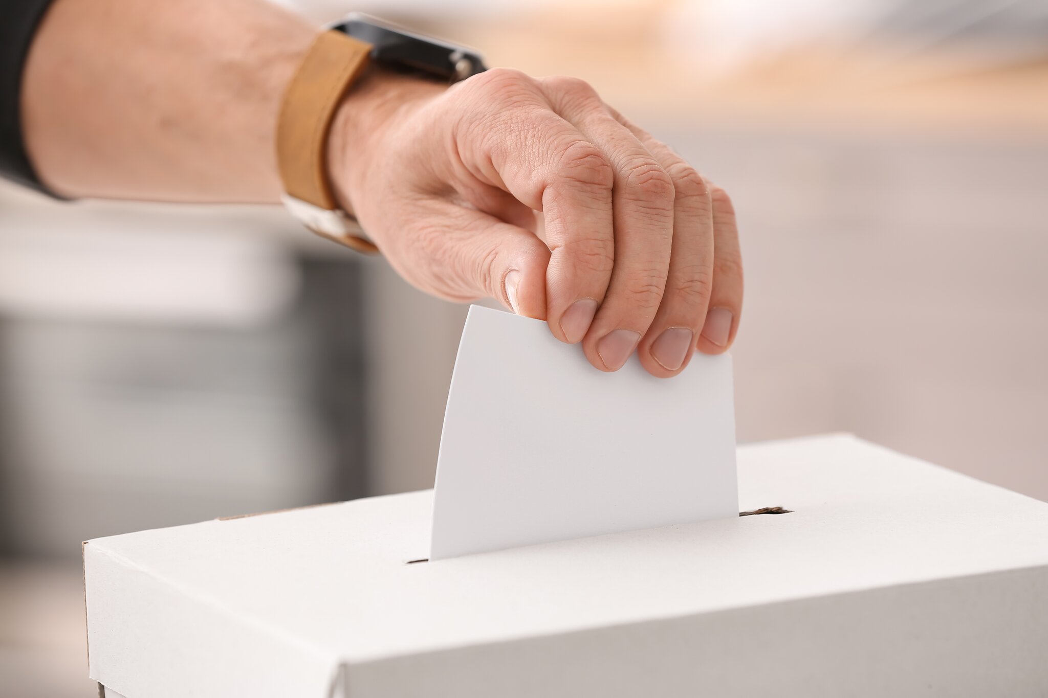 Bundestagswahl und Bürgermeisterwahl in Maxdorf - Voges gewinnt - Maxdorf