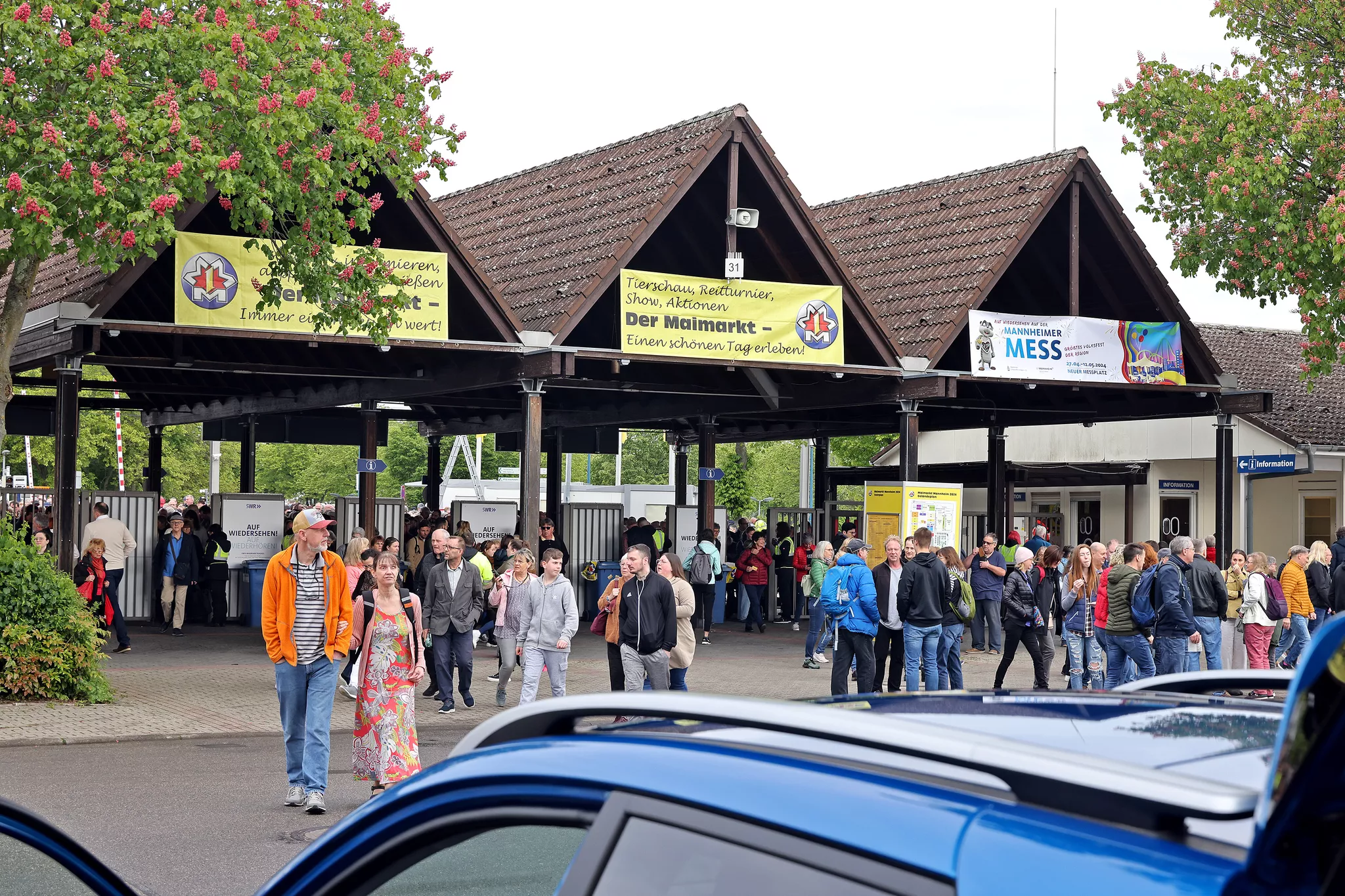 Raus ins Grüne: Maimarkt Mannheim lockt - Mannheim
