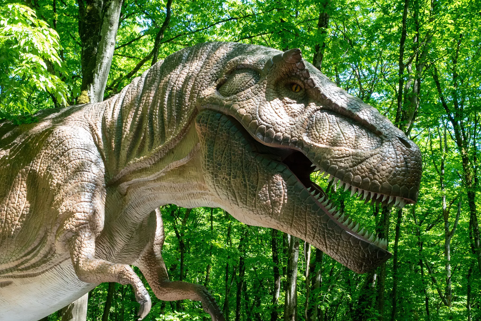 „Jurassic Expedition“ startet im Zoo von Amnéville: Das neue Event rund ...