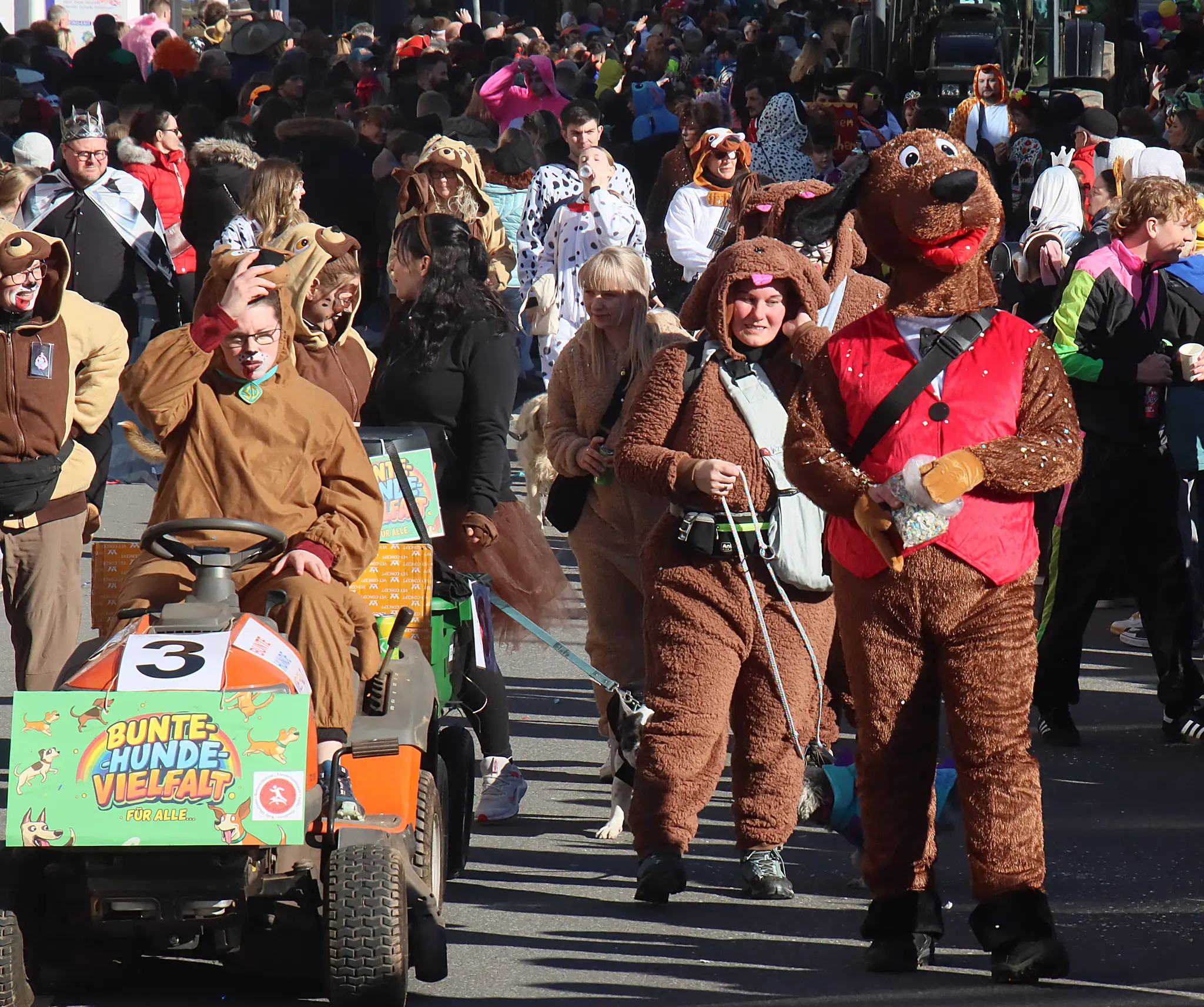 Fastnachtsumzug in der Kreisstadt - Saarland