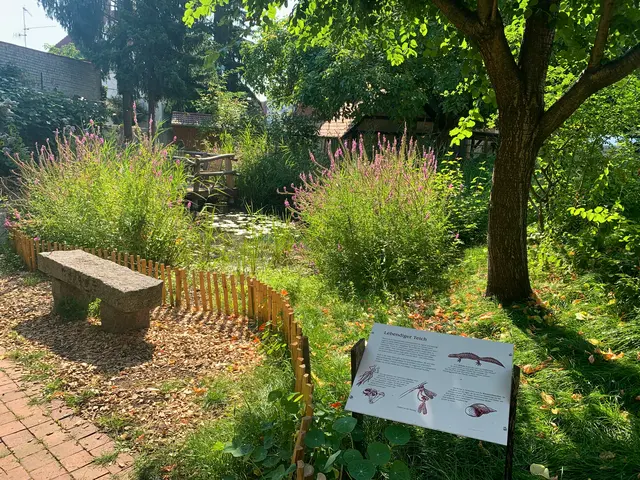 Familienwerkstatt im Museum Viernheim: Mit Lupe am Teich auf ...
