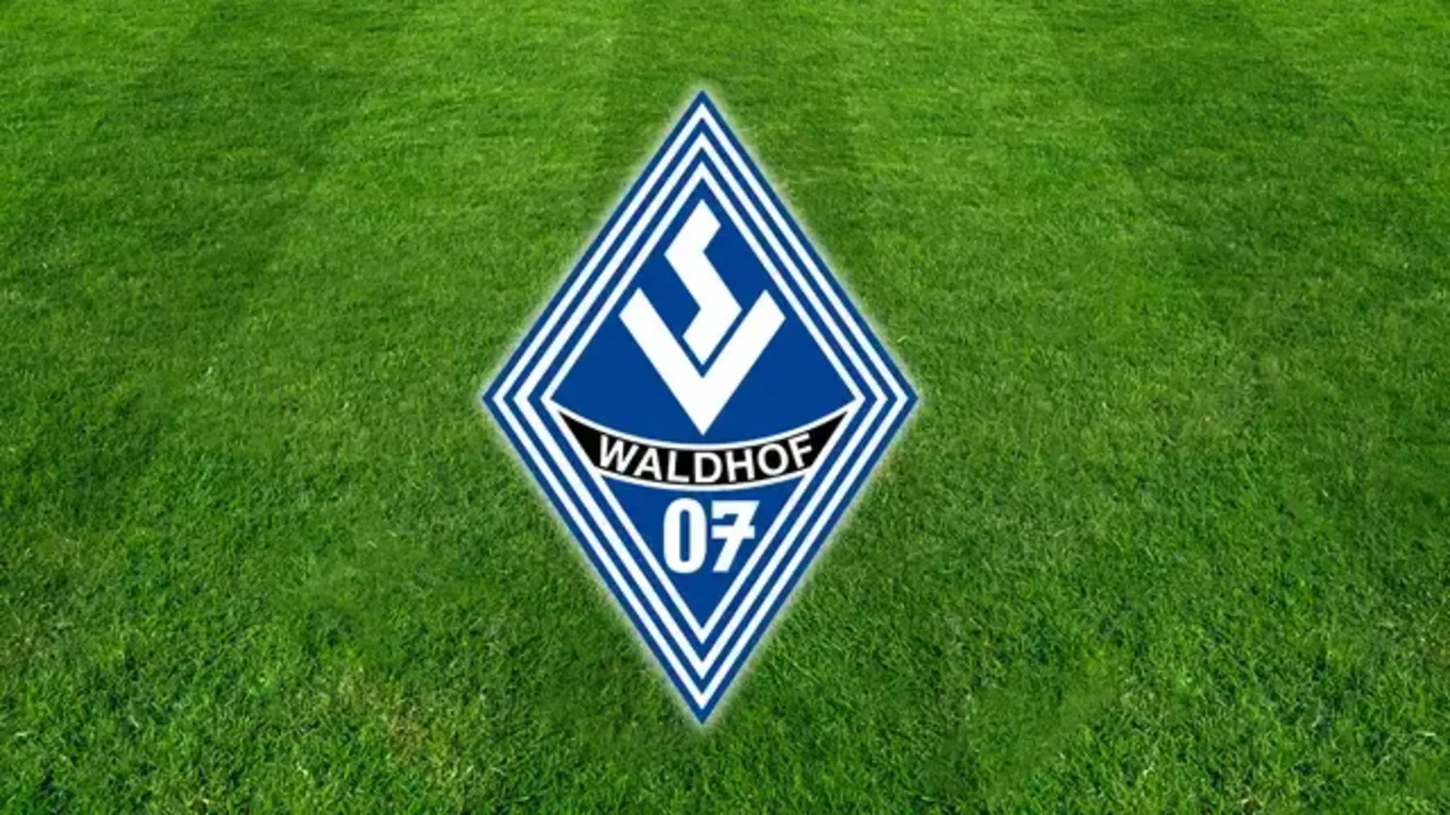 SV Waldhof Mannheim: Popiuk wird Aufsichtsratschef - Mannheim
