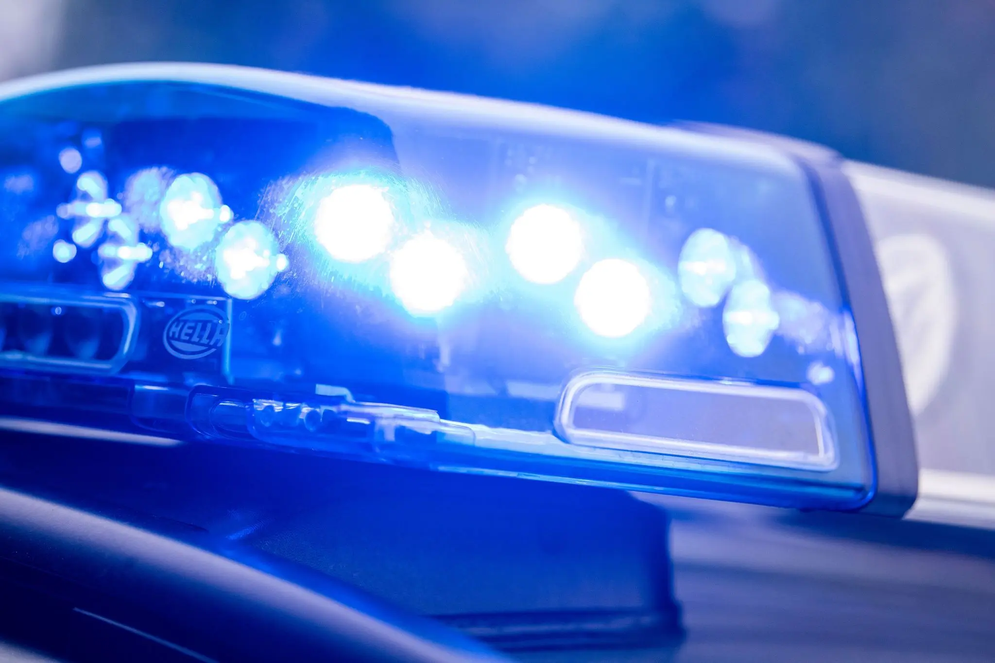 Polizeieinsatz bei Dornhan: Entlaufenes Pony auf der Straße