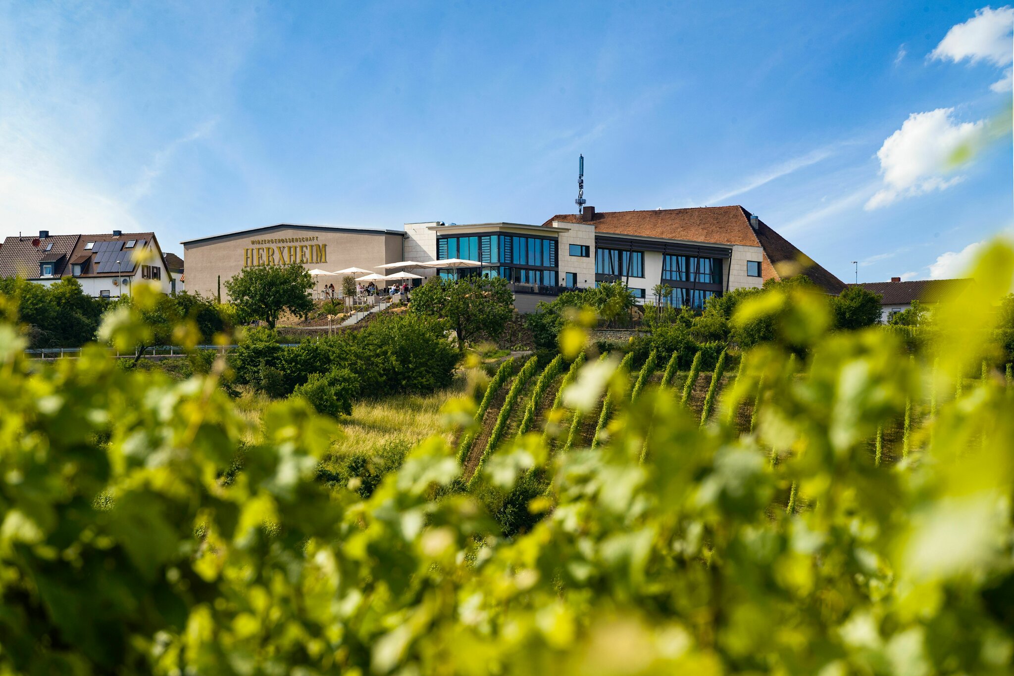 Weinwanderung mit Manuel Andrack