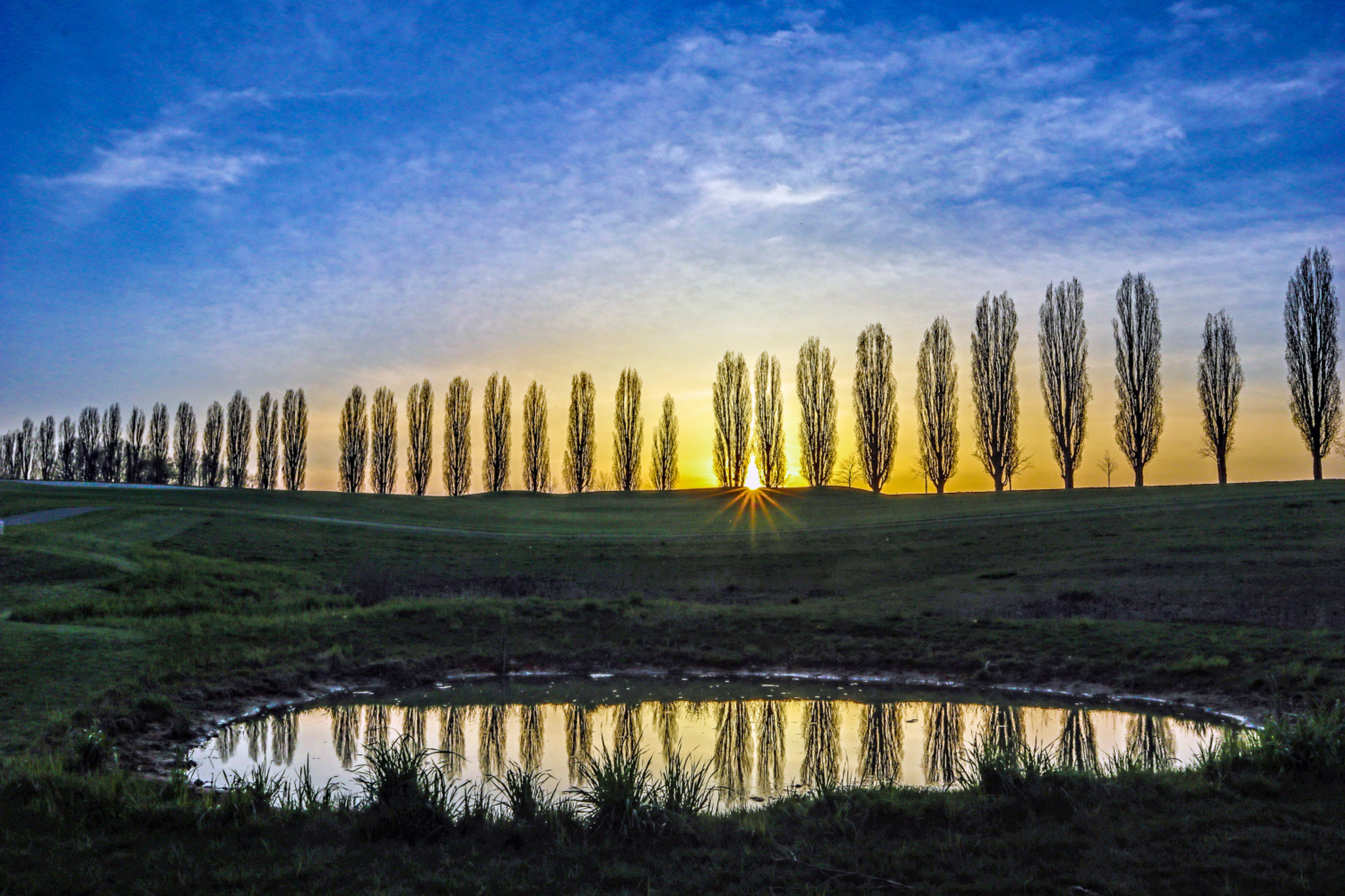 Die Pappelallee bei Hohenwettersbach mit Spiegelung