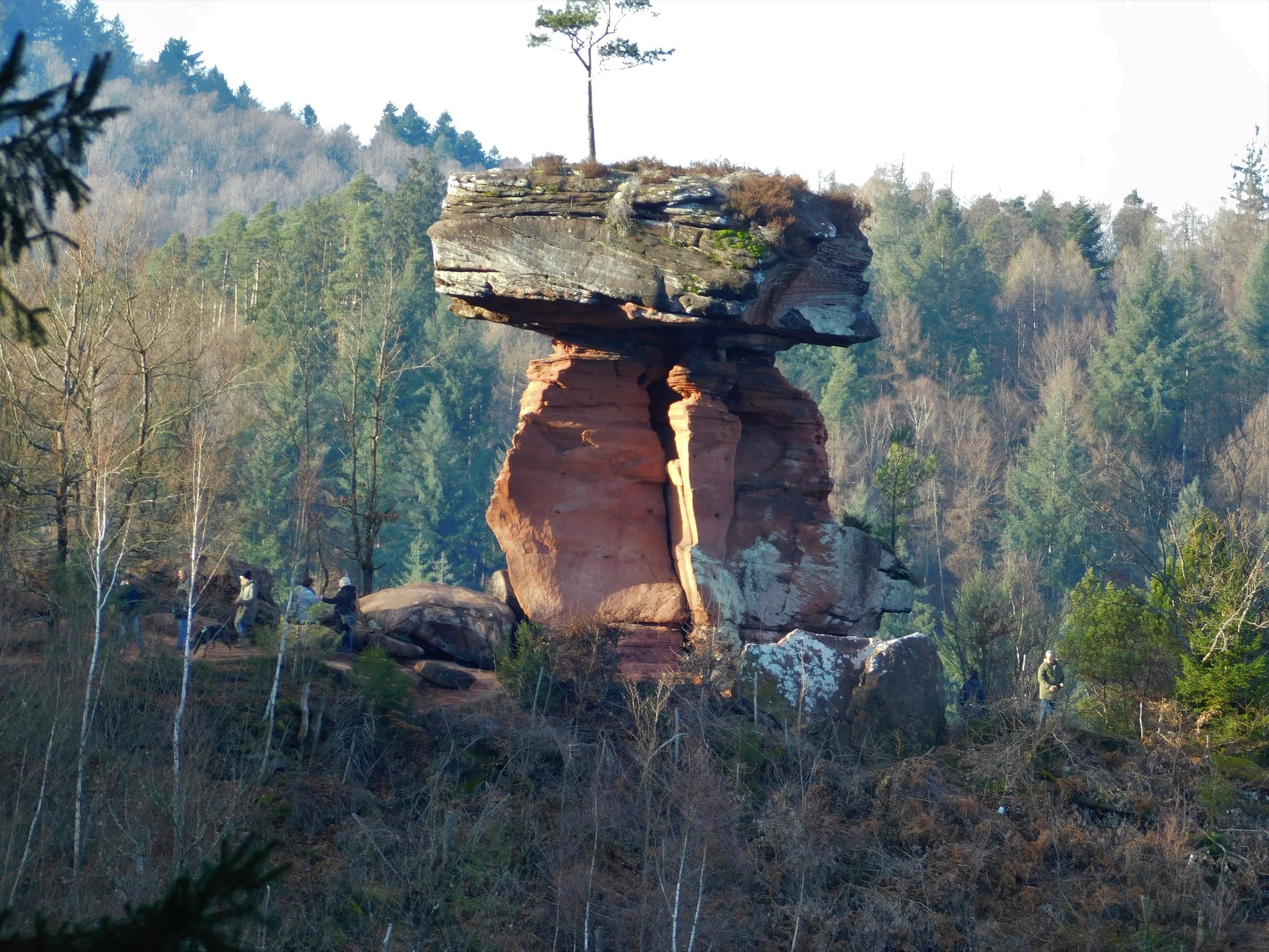 Südwest-Blick von Teufelstisch bei Hinterweidenthal